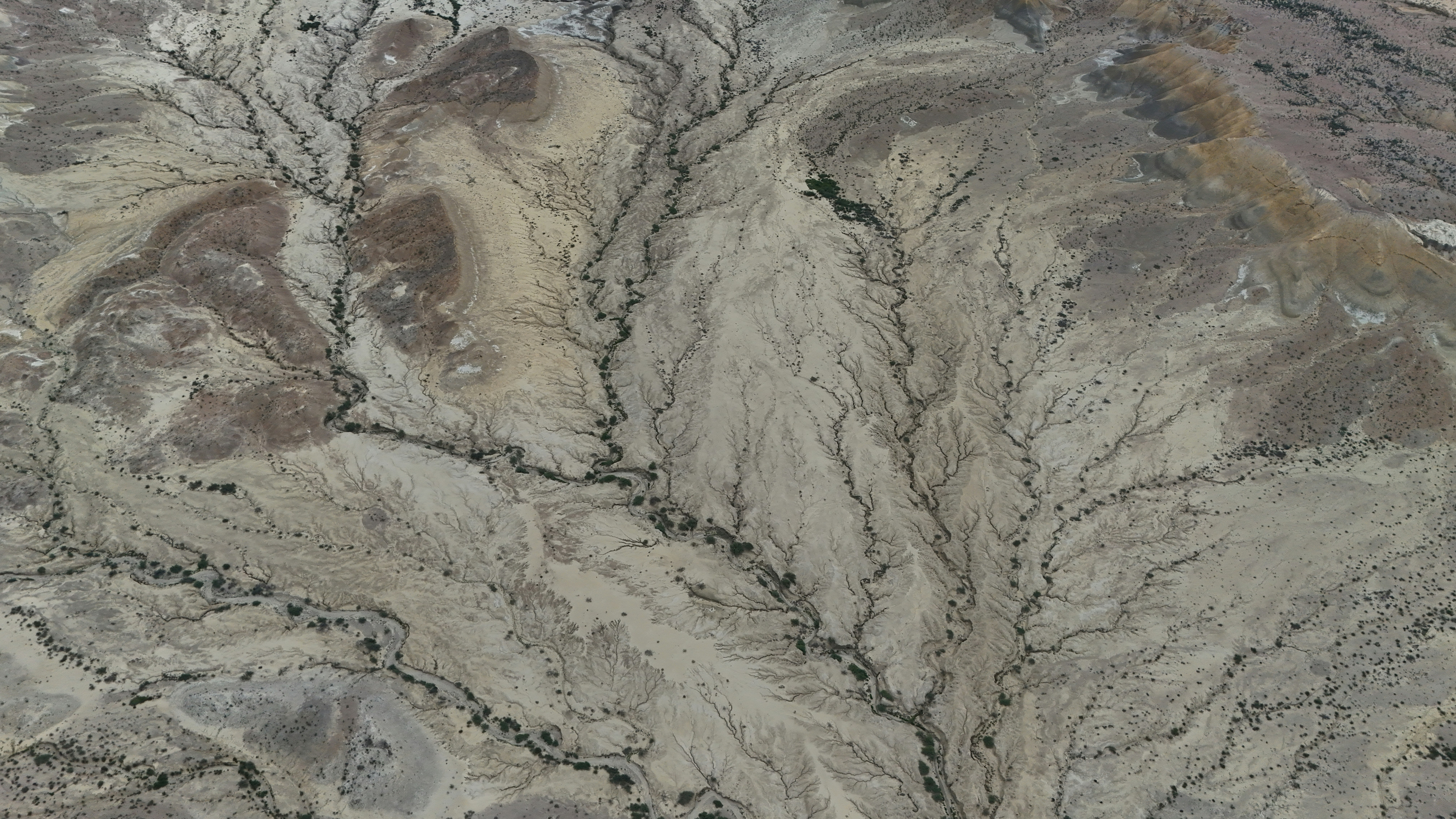 Dried Riverbed Veins in Ancestral Desert Trails