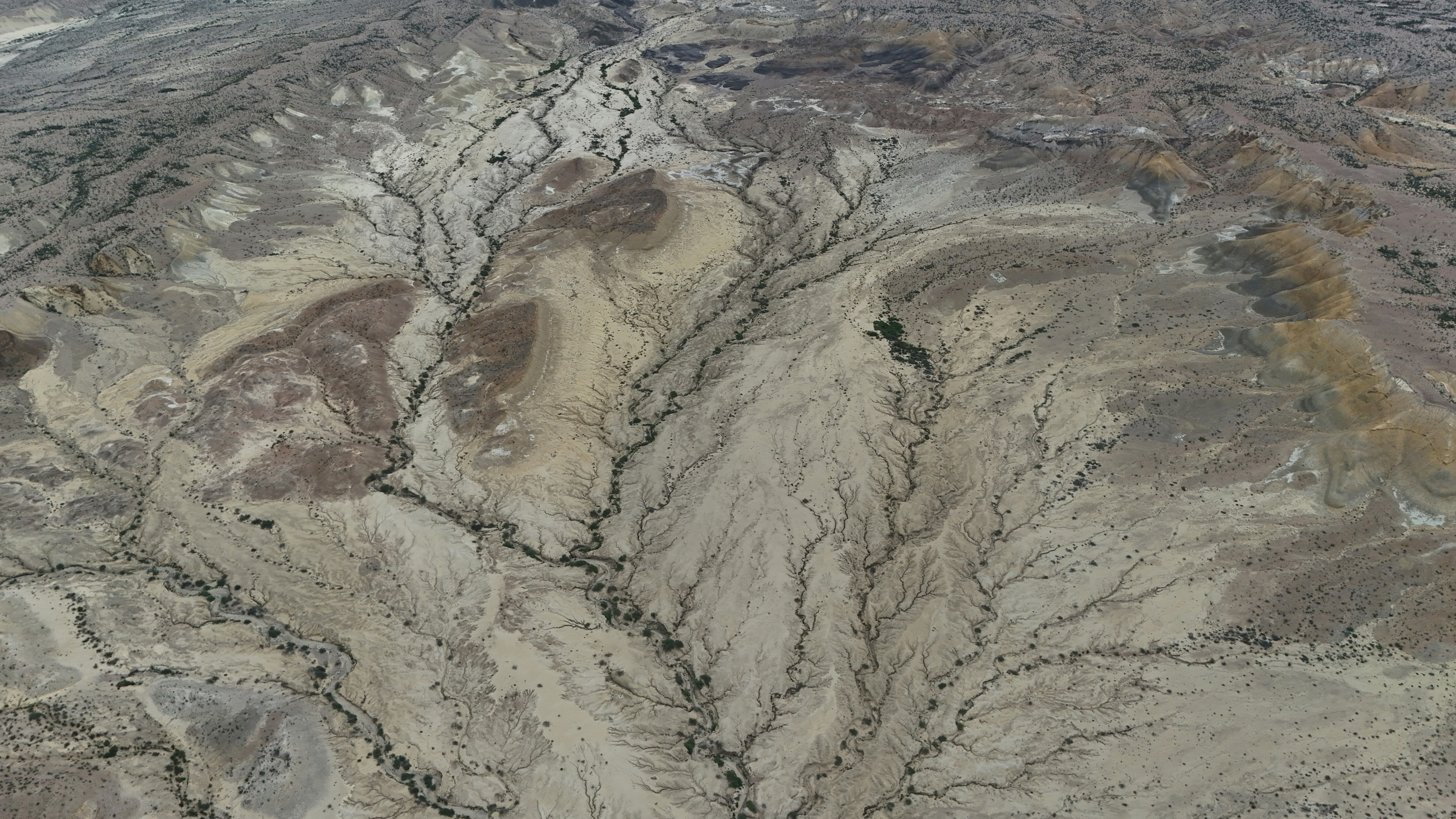 Dry Bedlines: A Winding Echo Through Arid Valleys