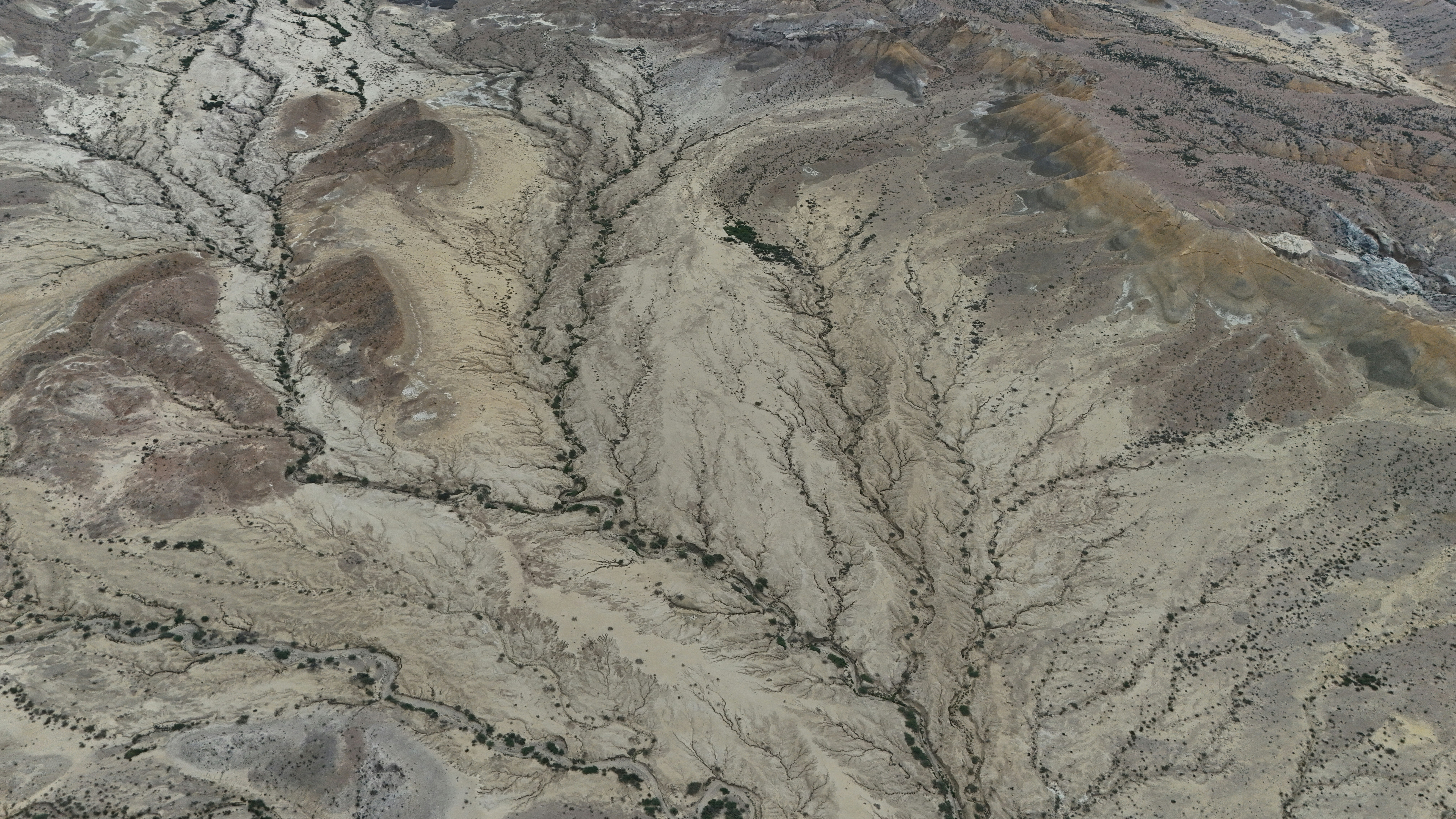Dry Creek Bed: A Network of Weathered Channels Across Desert Terrain