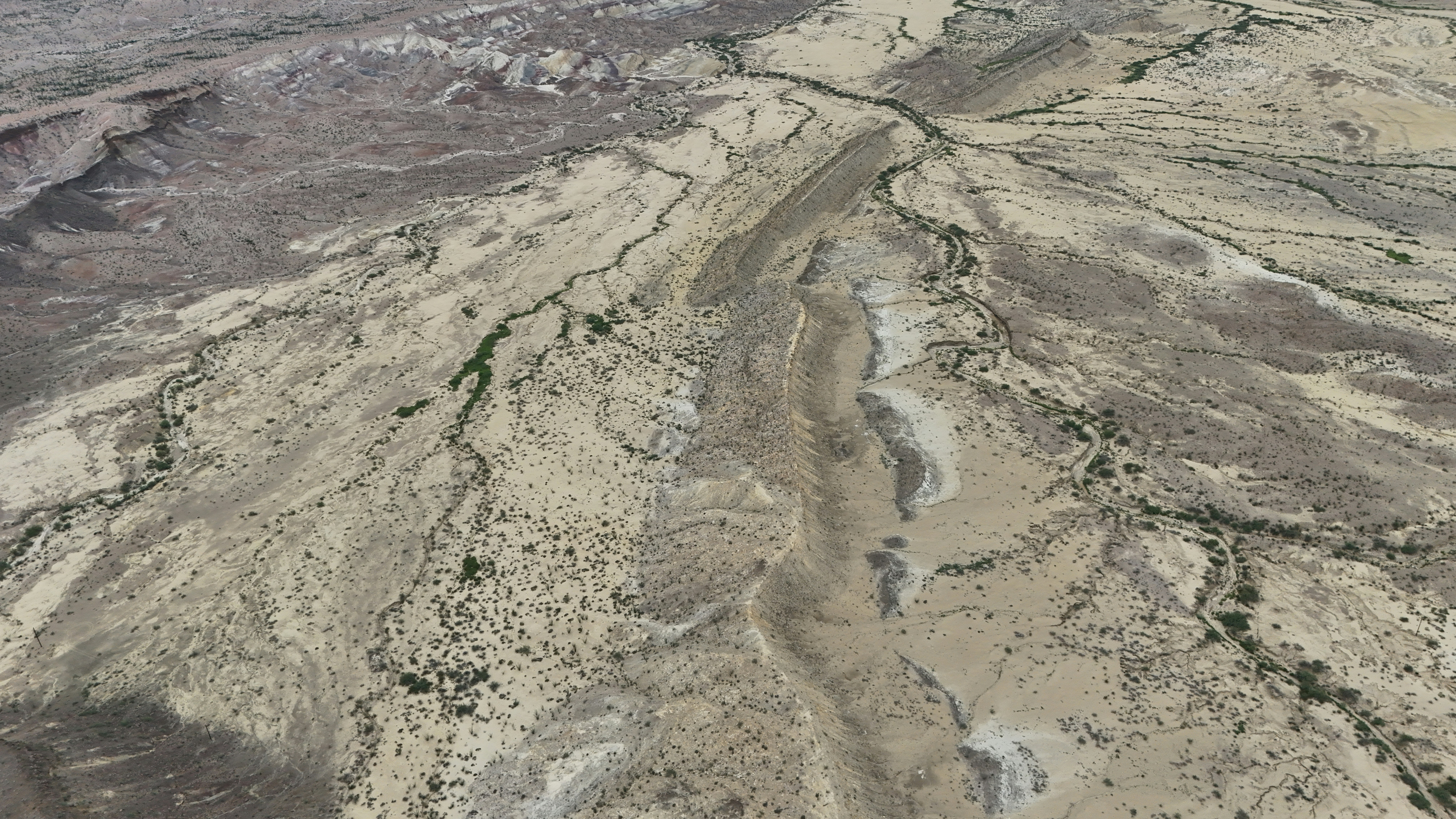 Dryriver Canyon: sun-bleached bedrock weaving through split sandstone