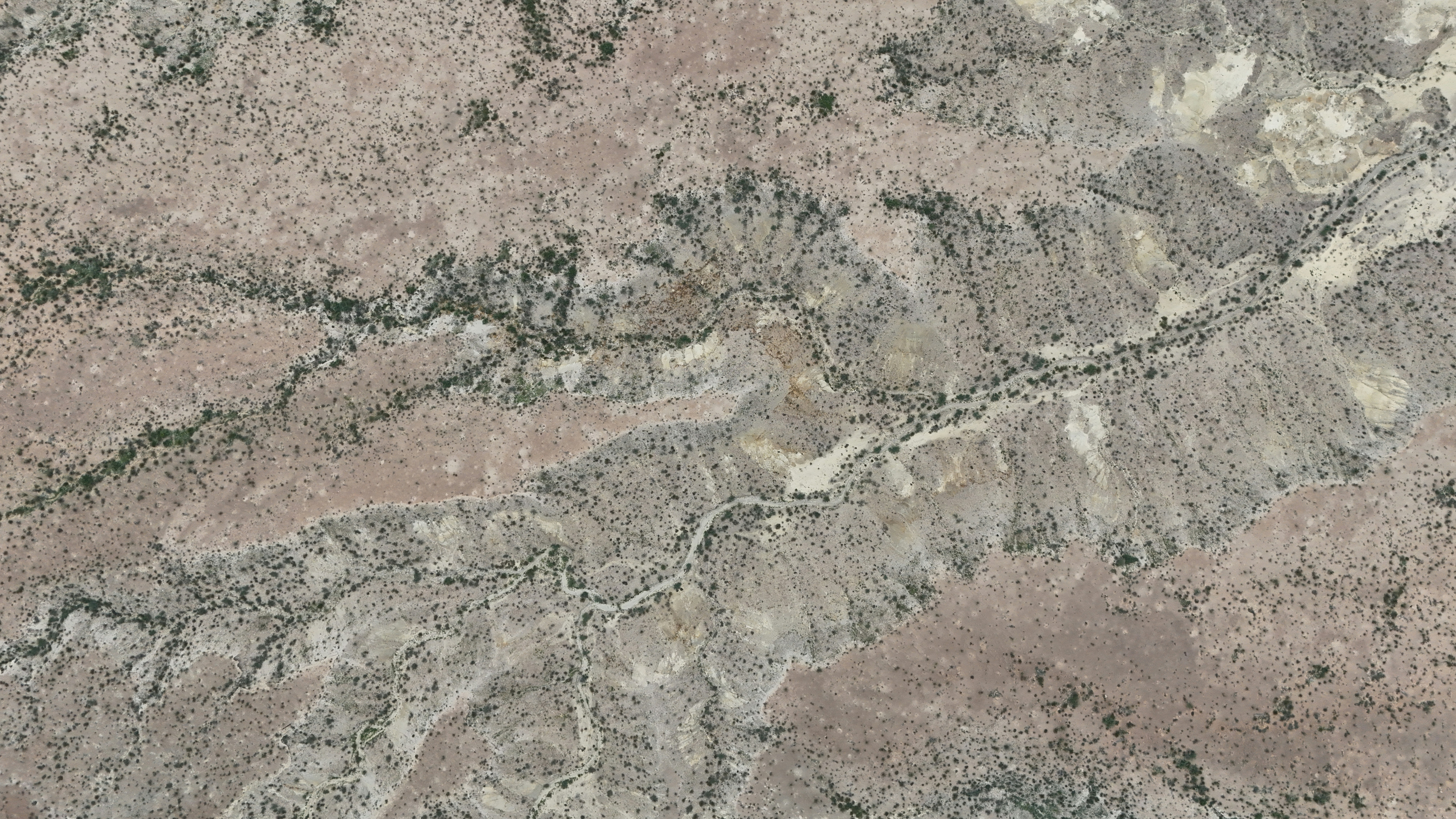Desert Veins: A Satellite View of Dry Canyon Patterns