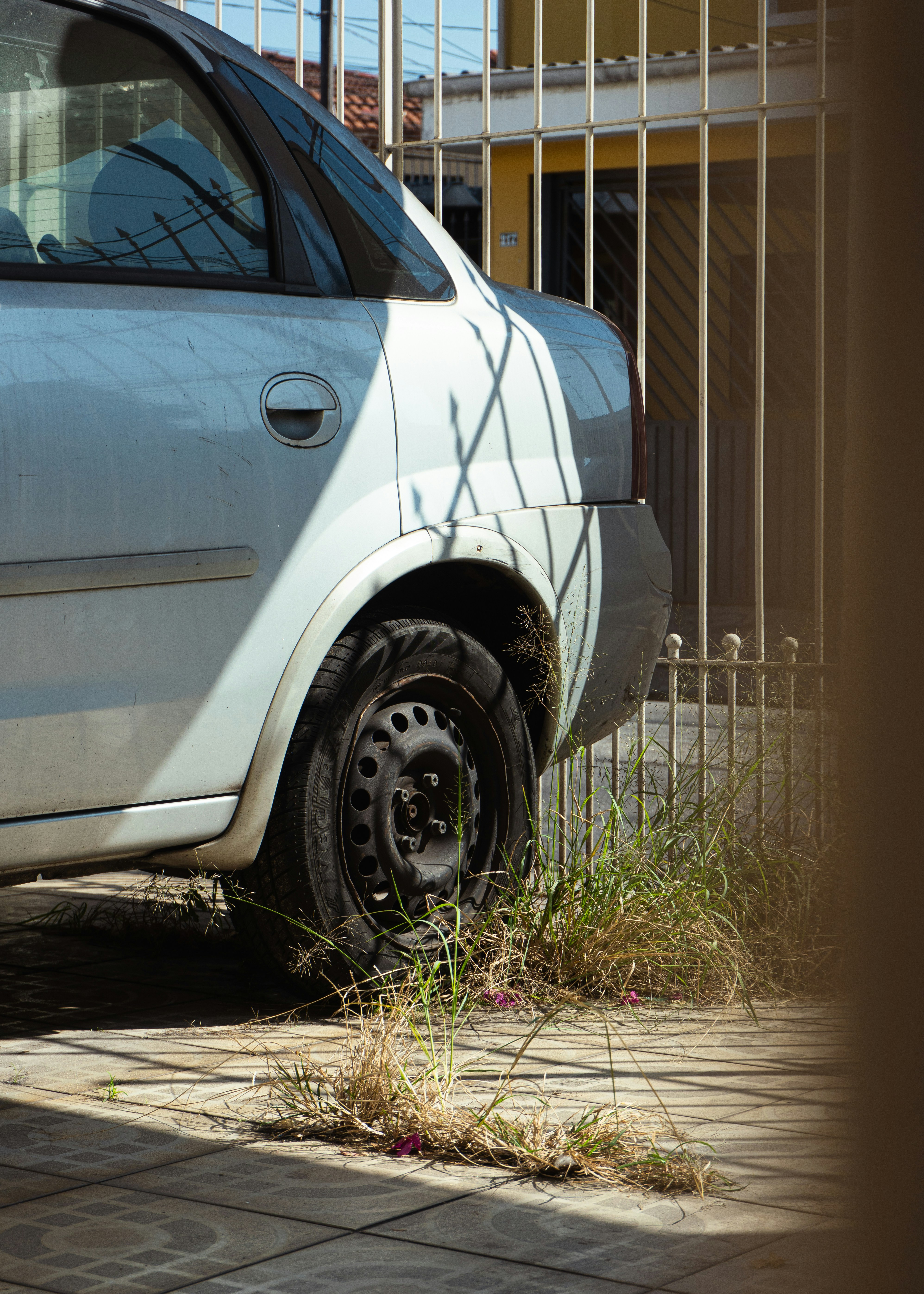 Abandoned blue sedan with overgrown weeds by a sunlit fence