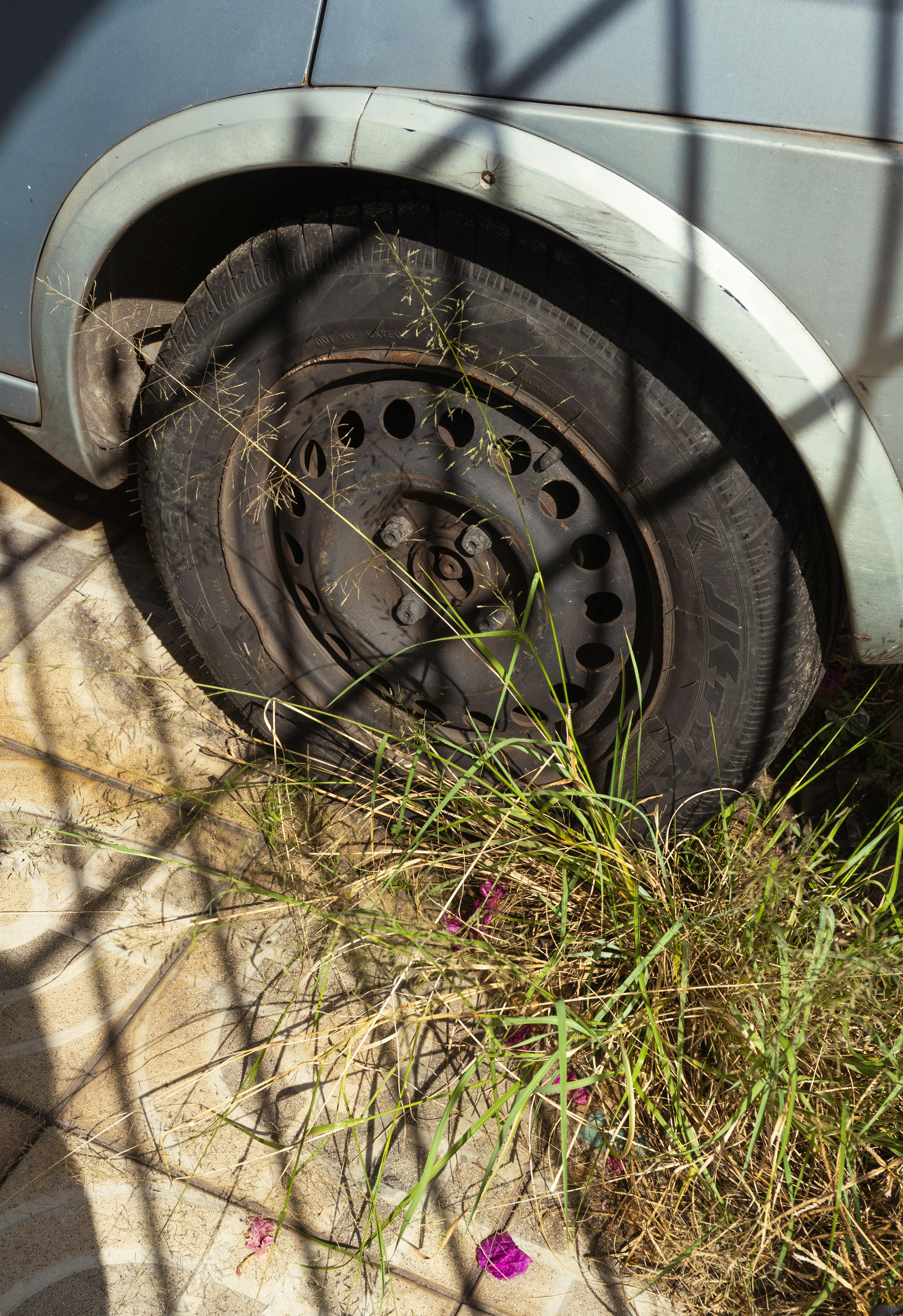 Idle Wheel in Sunlit Grass: A Quiet Scene by the Car
