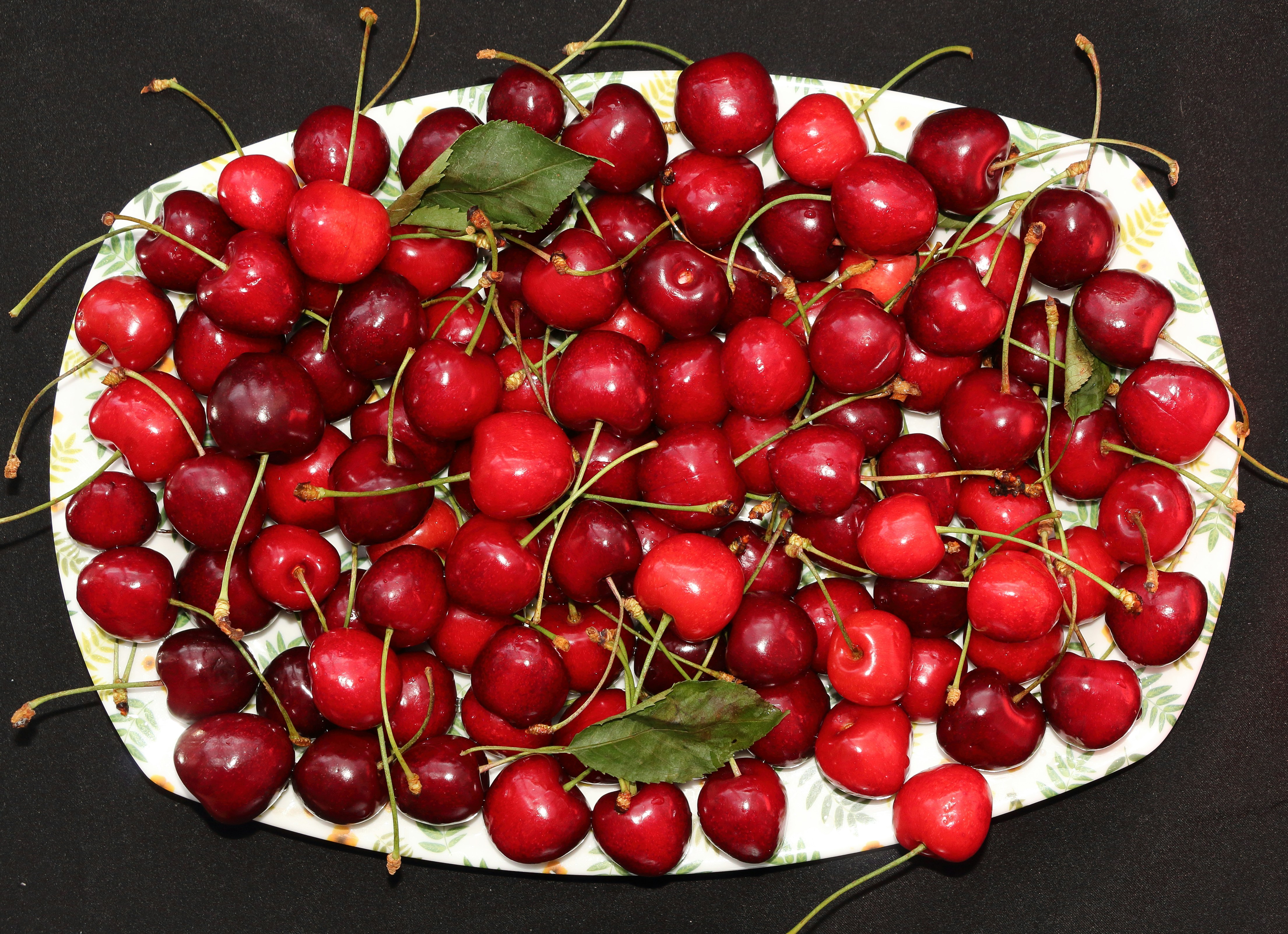 Crimson Harvest on a Plate: A Rich Tumble of Cherries
