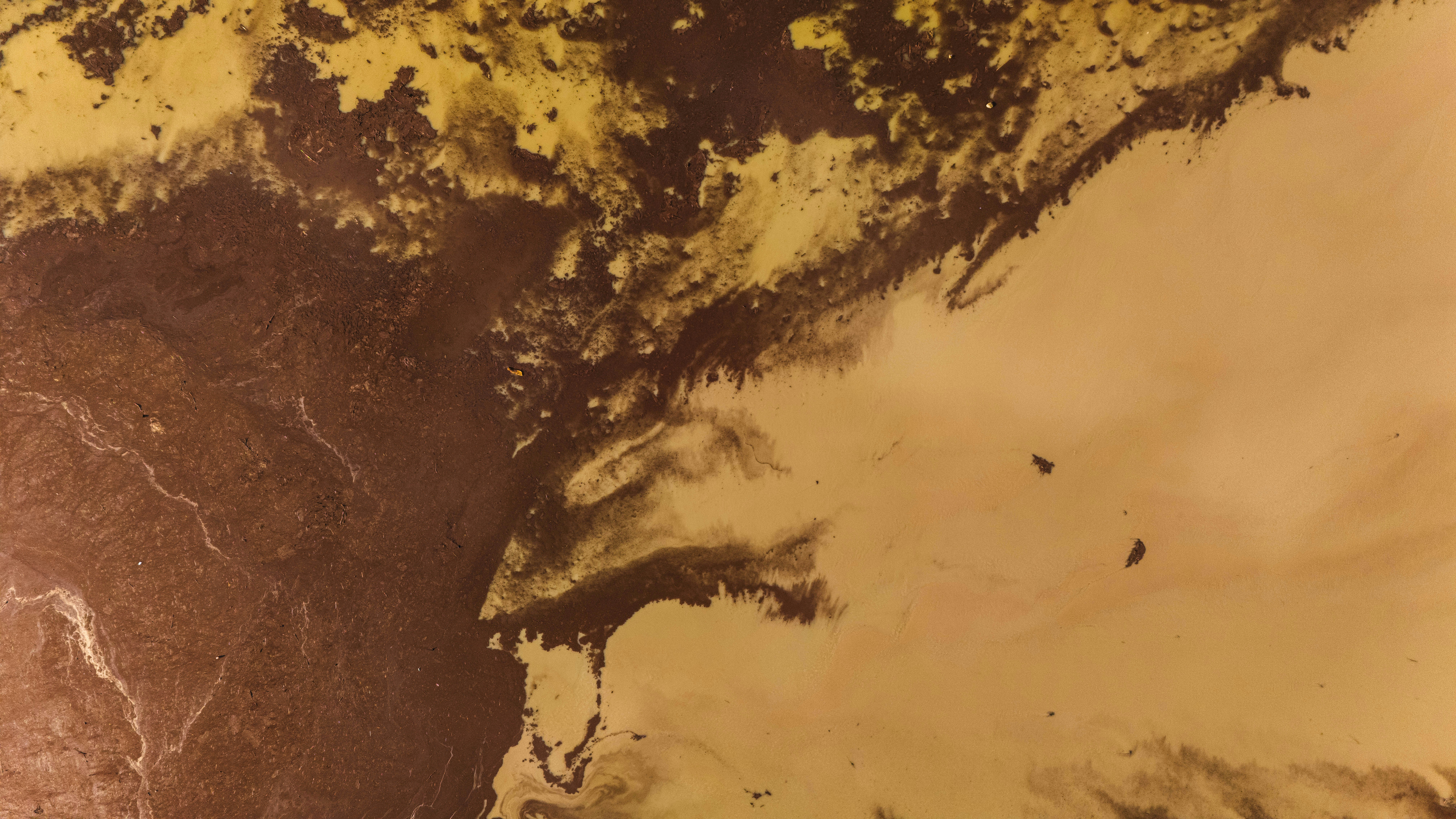 Amber Dusk Over a Majestic Canopy