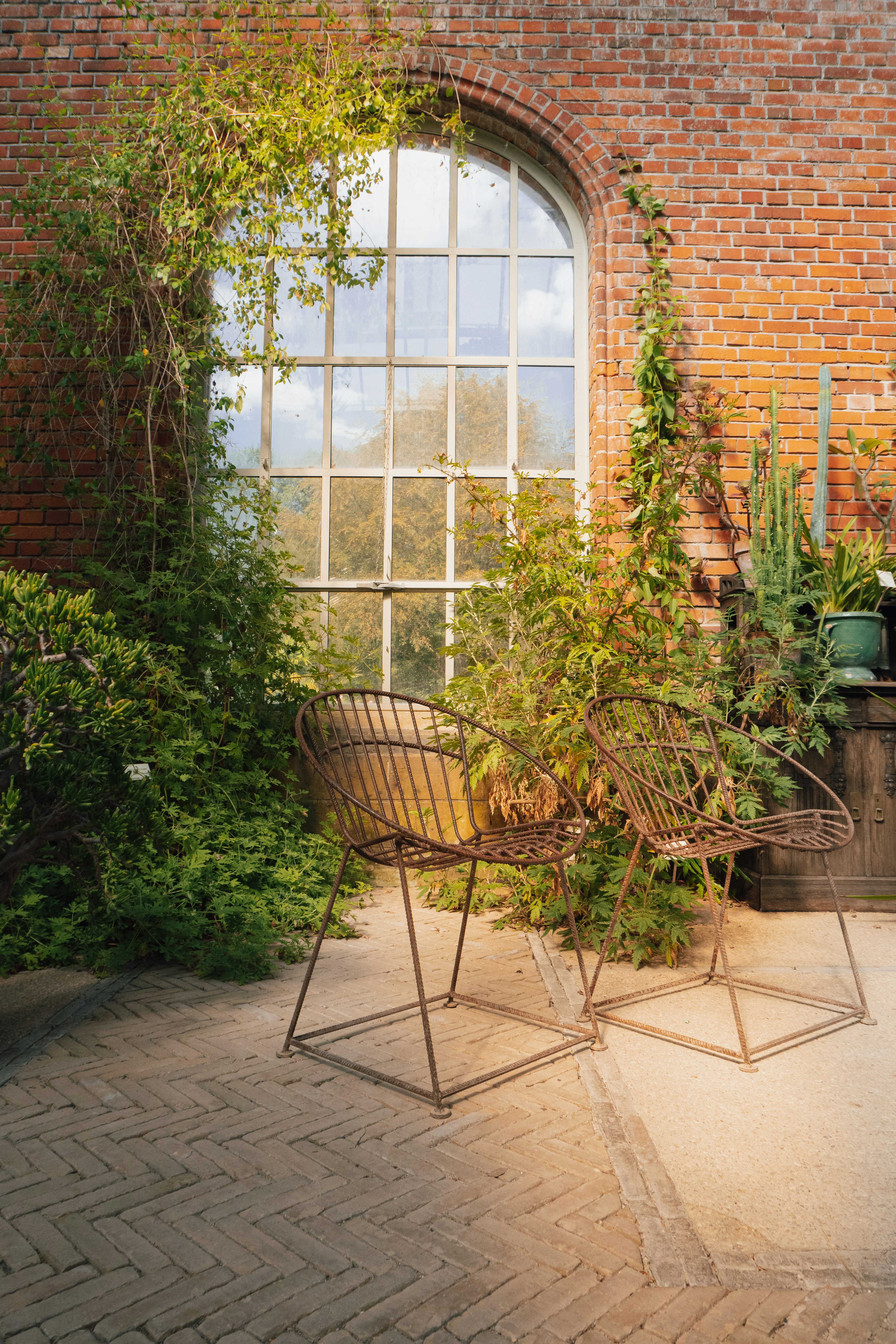 Overgrown Conservatory Courtyard with Vintage Metal Chairs
