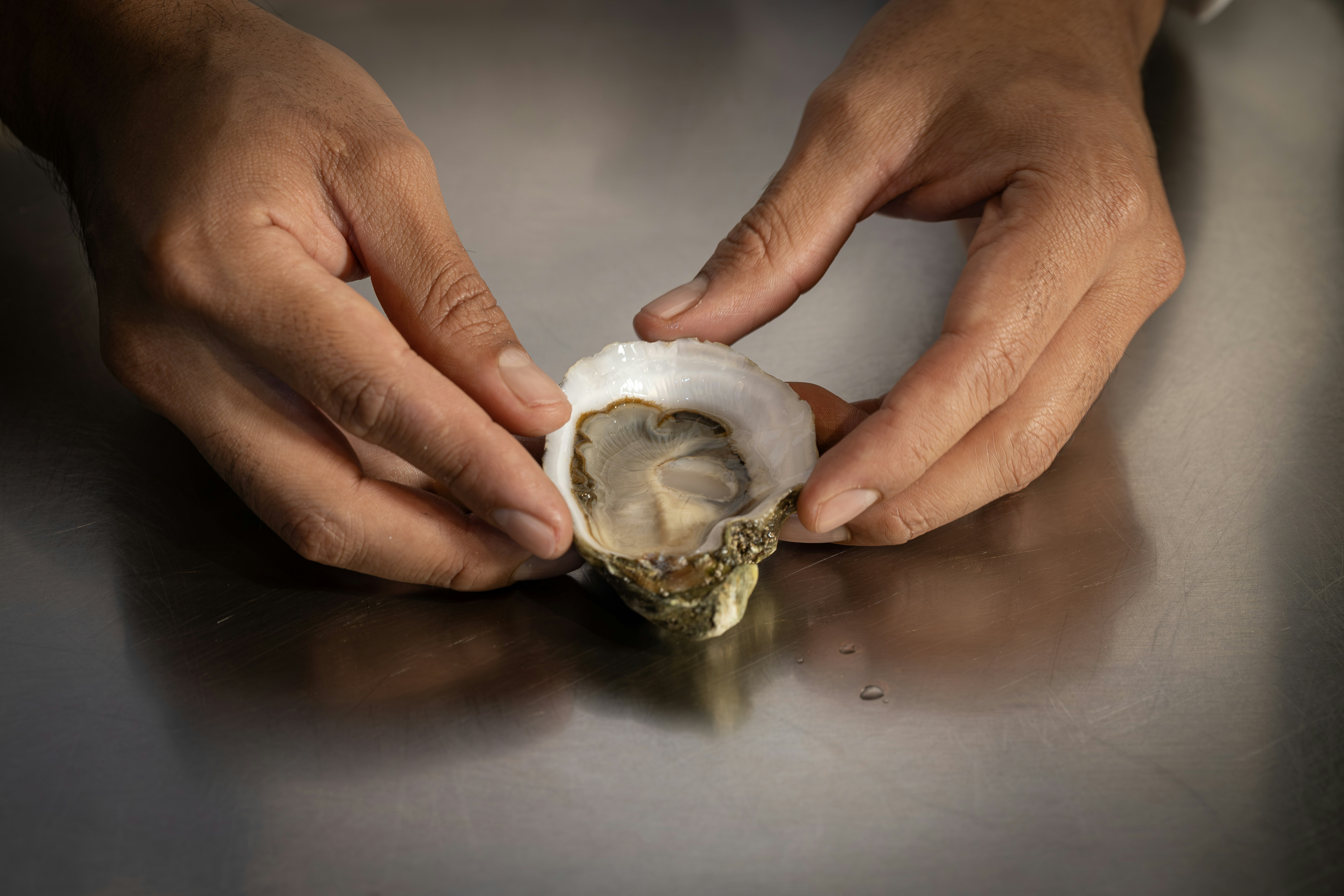 Opening a delicate shell: hands cradle a pearl-like reveal on stainless steel