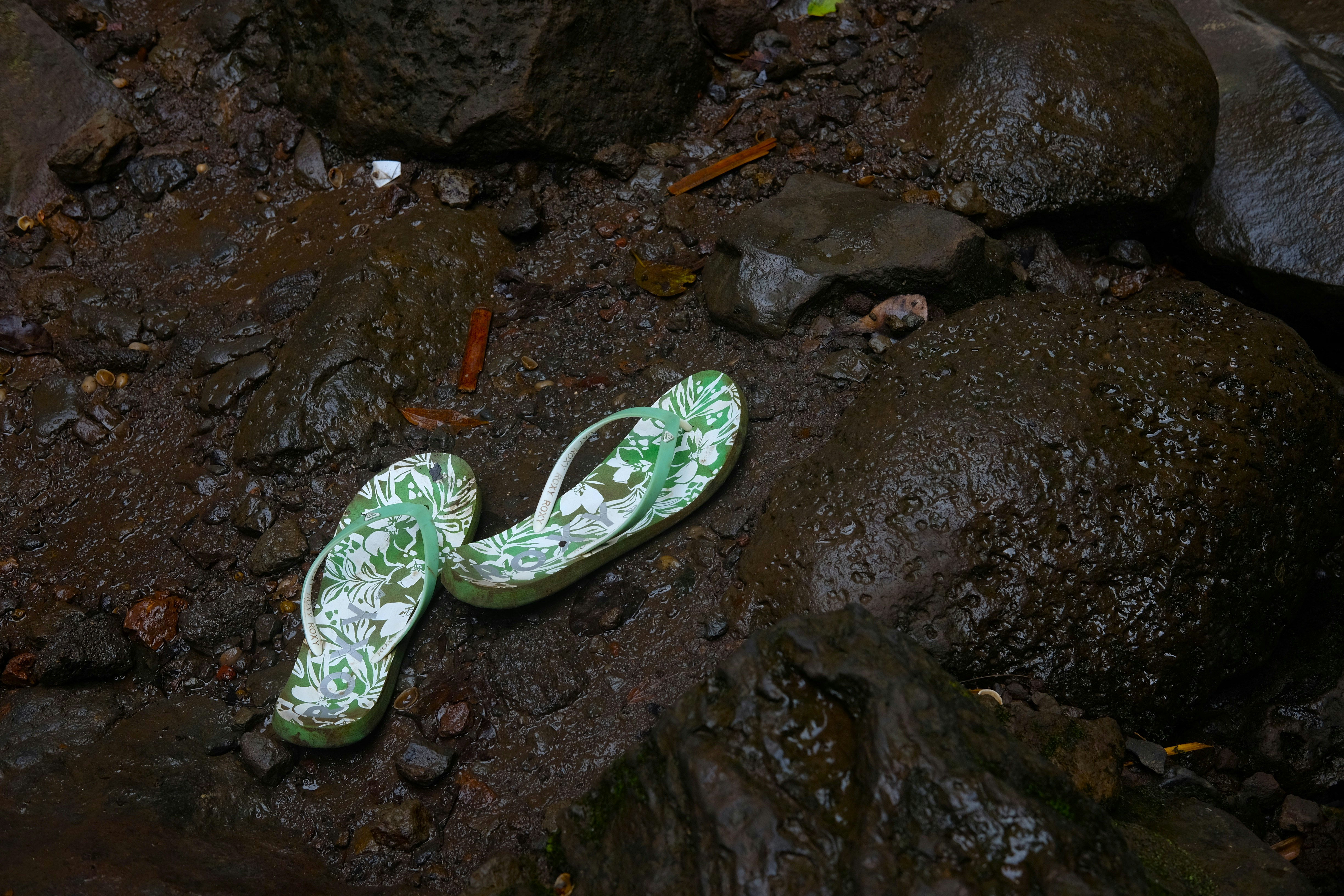 Floral Flip-Flops Resting on Wet Ground in a Rocky Shore