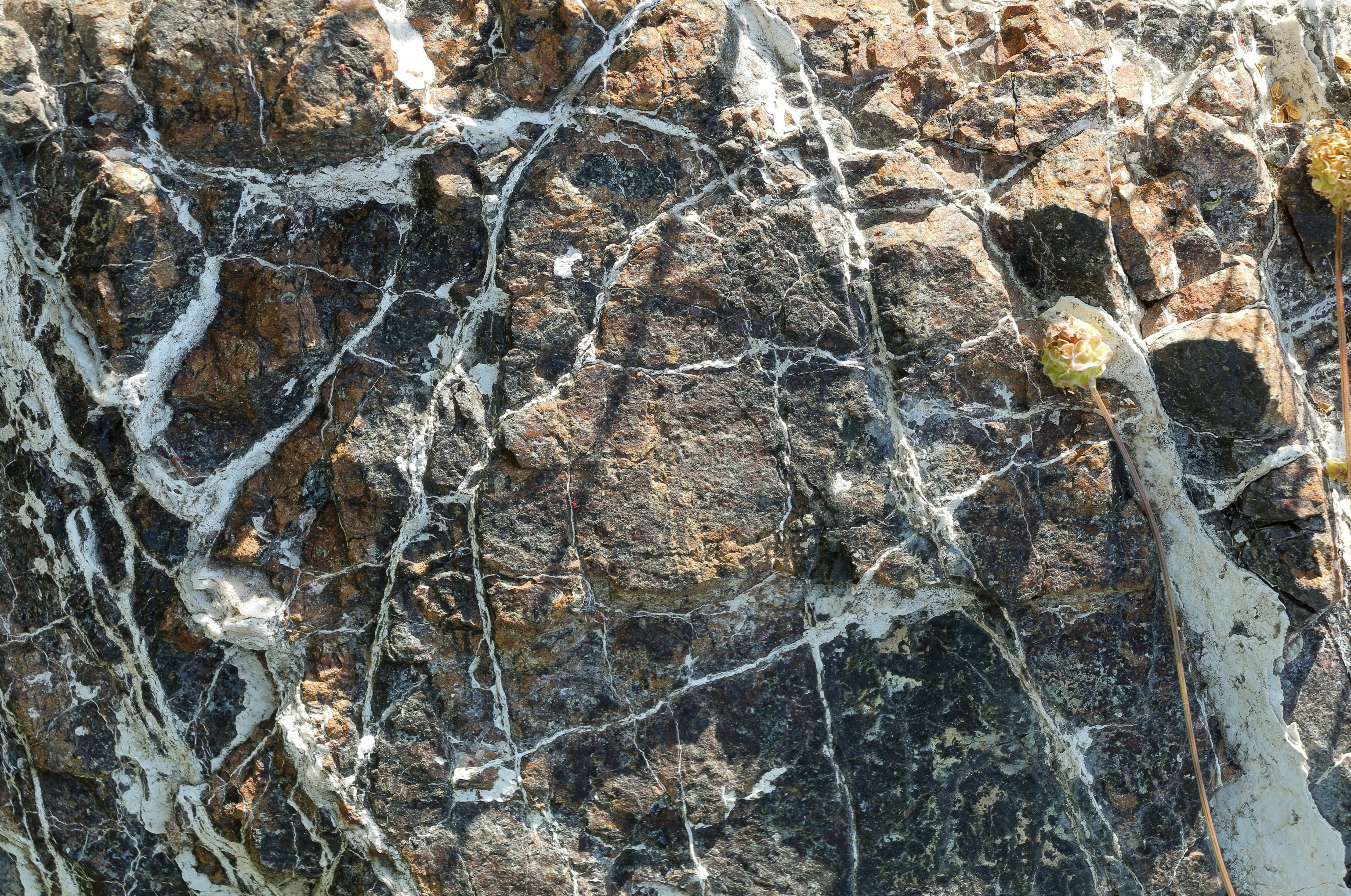 Marble-veined Rock Terrain: A Portrait of Natural Veins