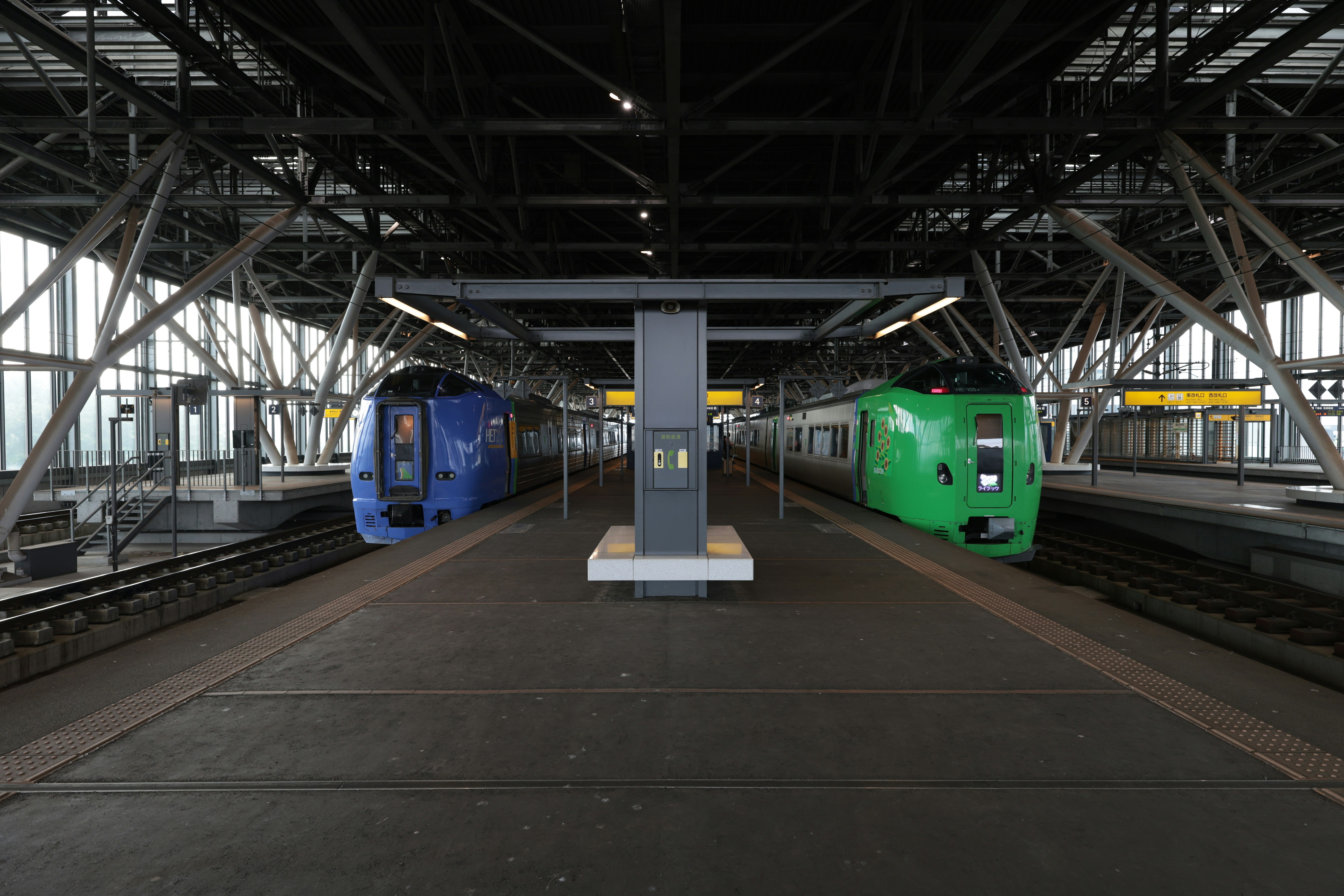 Symmetry of Steel and Color: Trains at Dusk Station