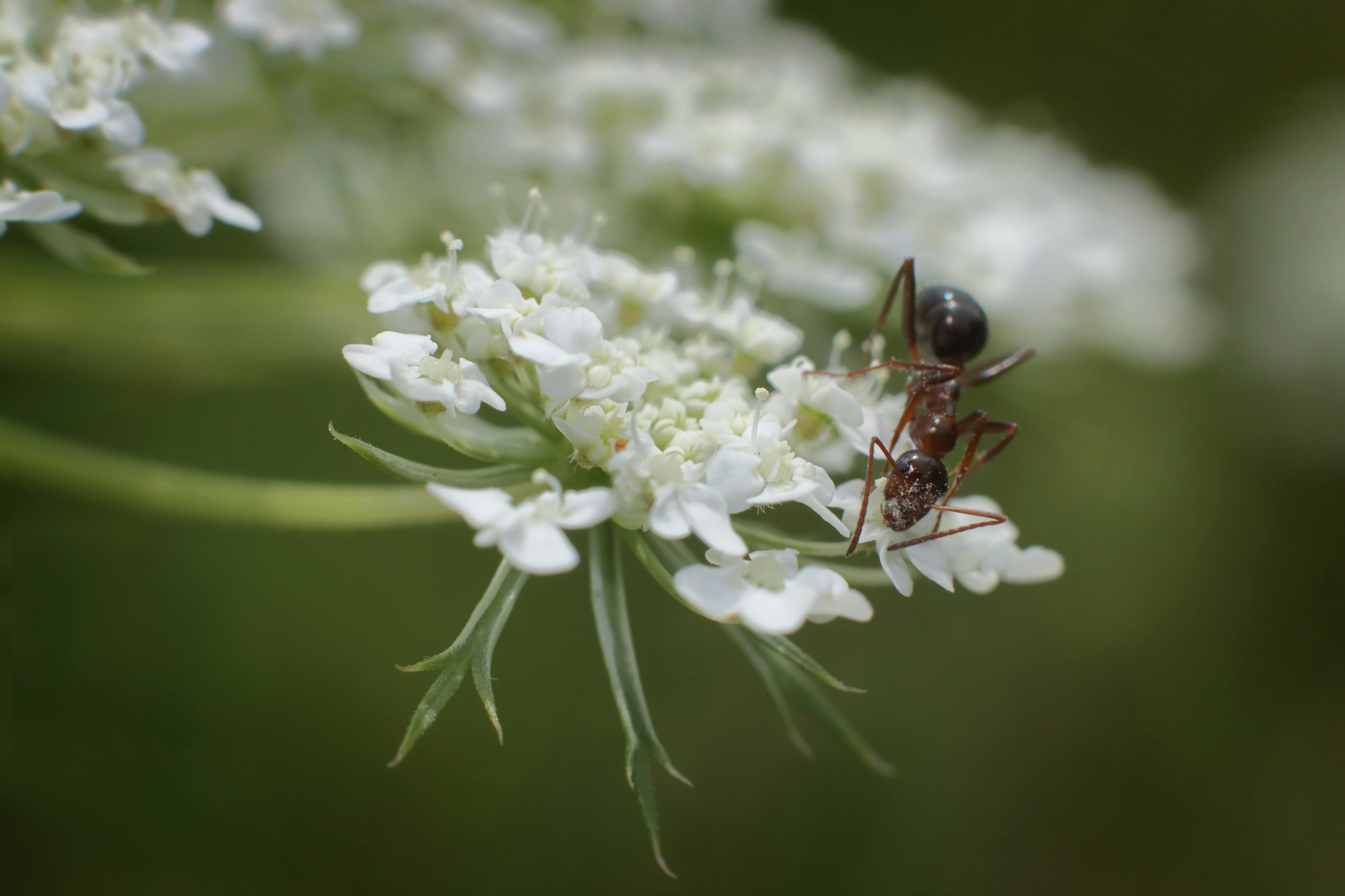 Photo by Gary Bendig with Canon EOS 90D