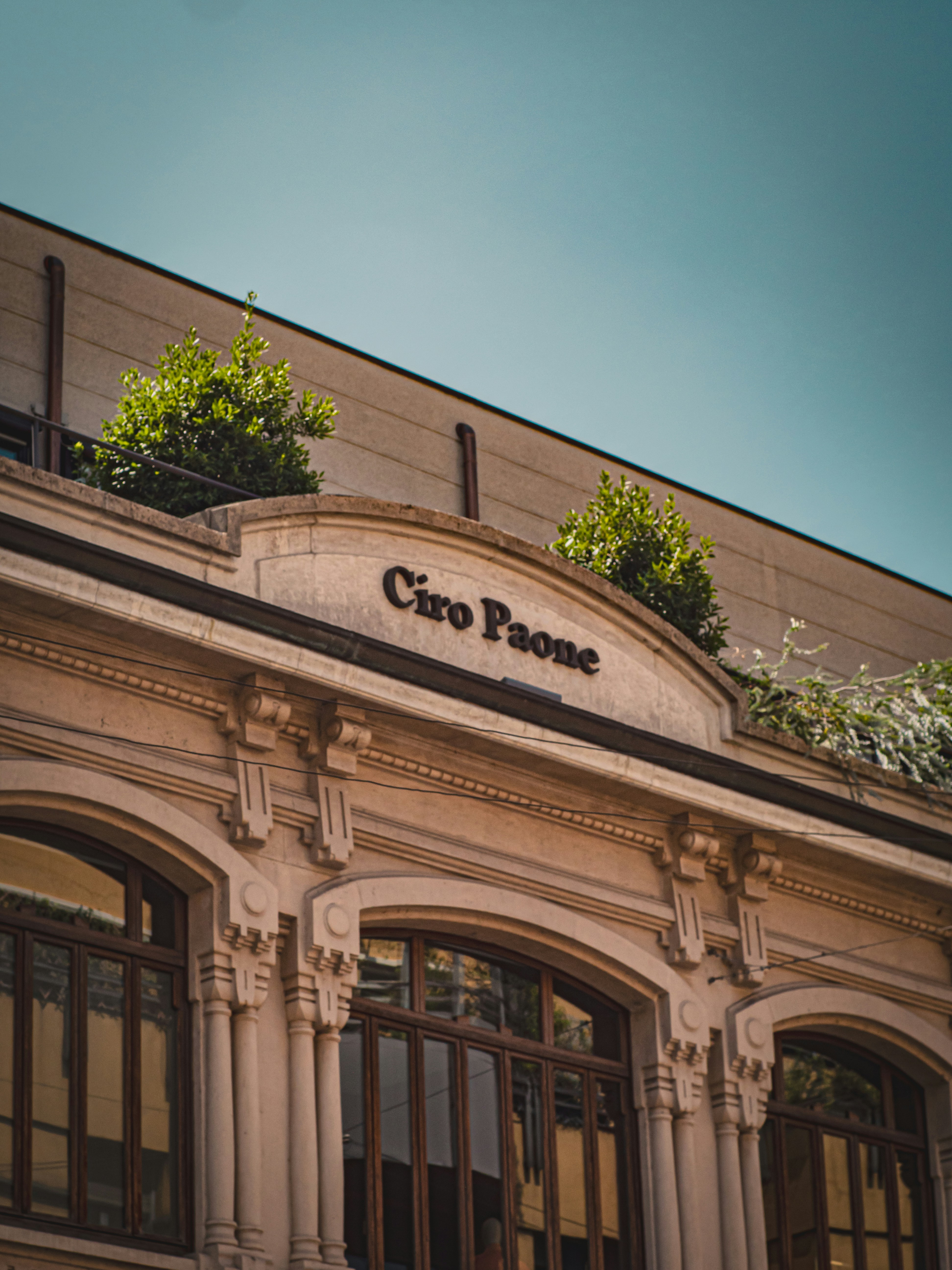 Facade of Ciro Paone: Classical Carving, Greenery, and Pale Stone