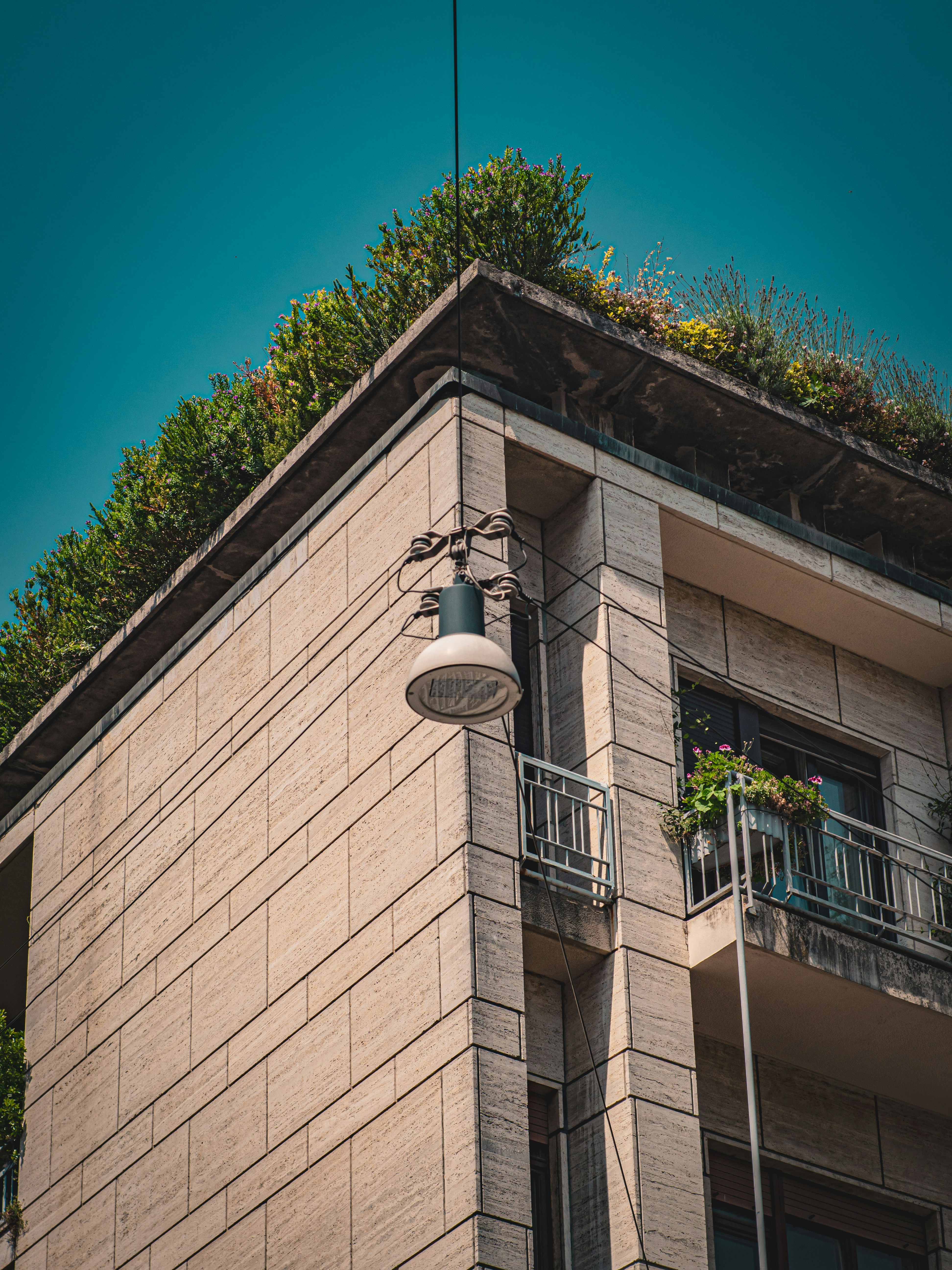 Cornerstone of Style: A Rooftop Garden Overlooking the Streetlamp