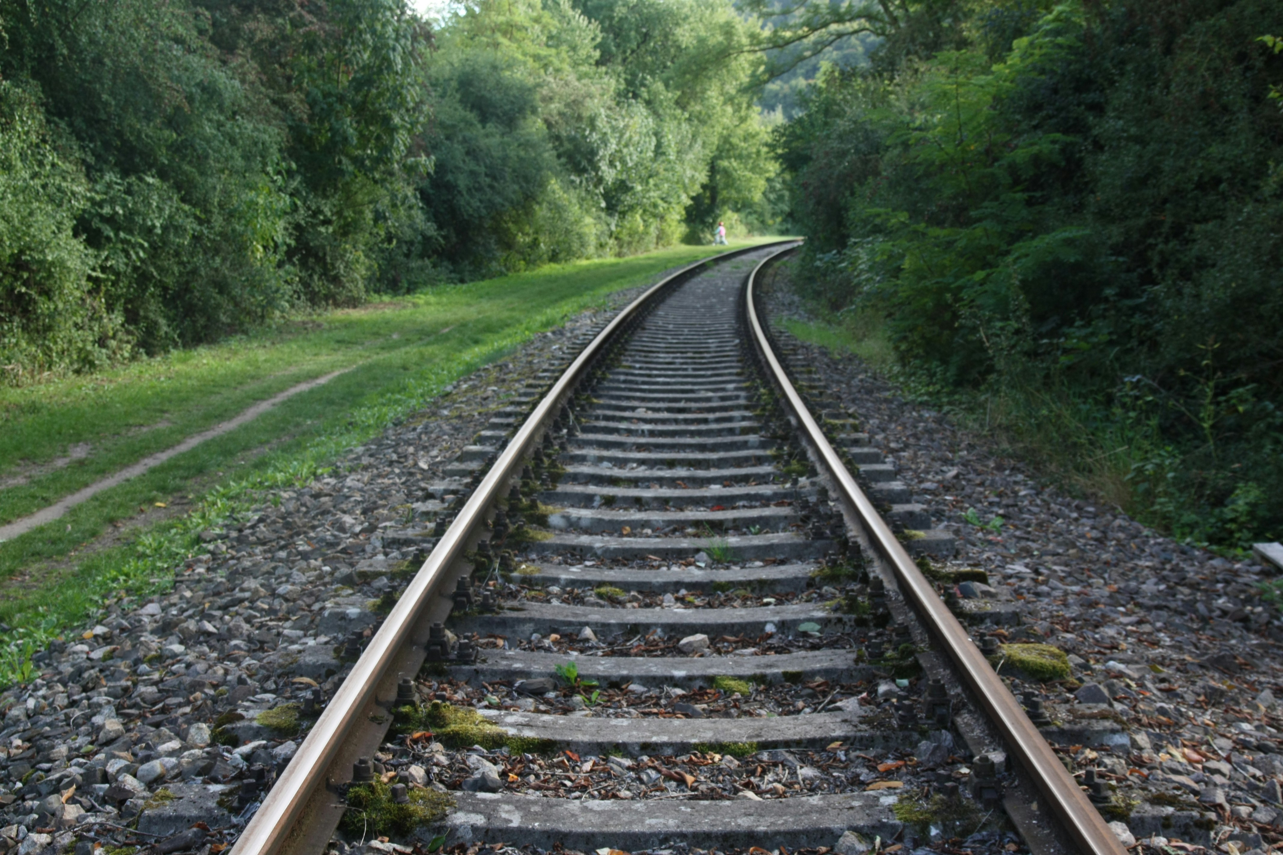 Twin Rails Vanish into Green Tunnels
