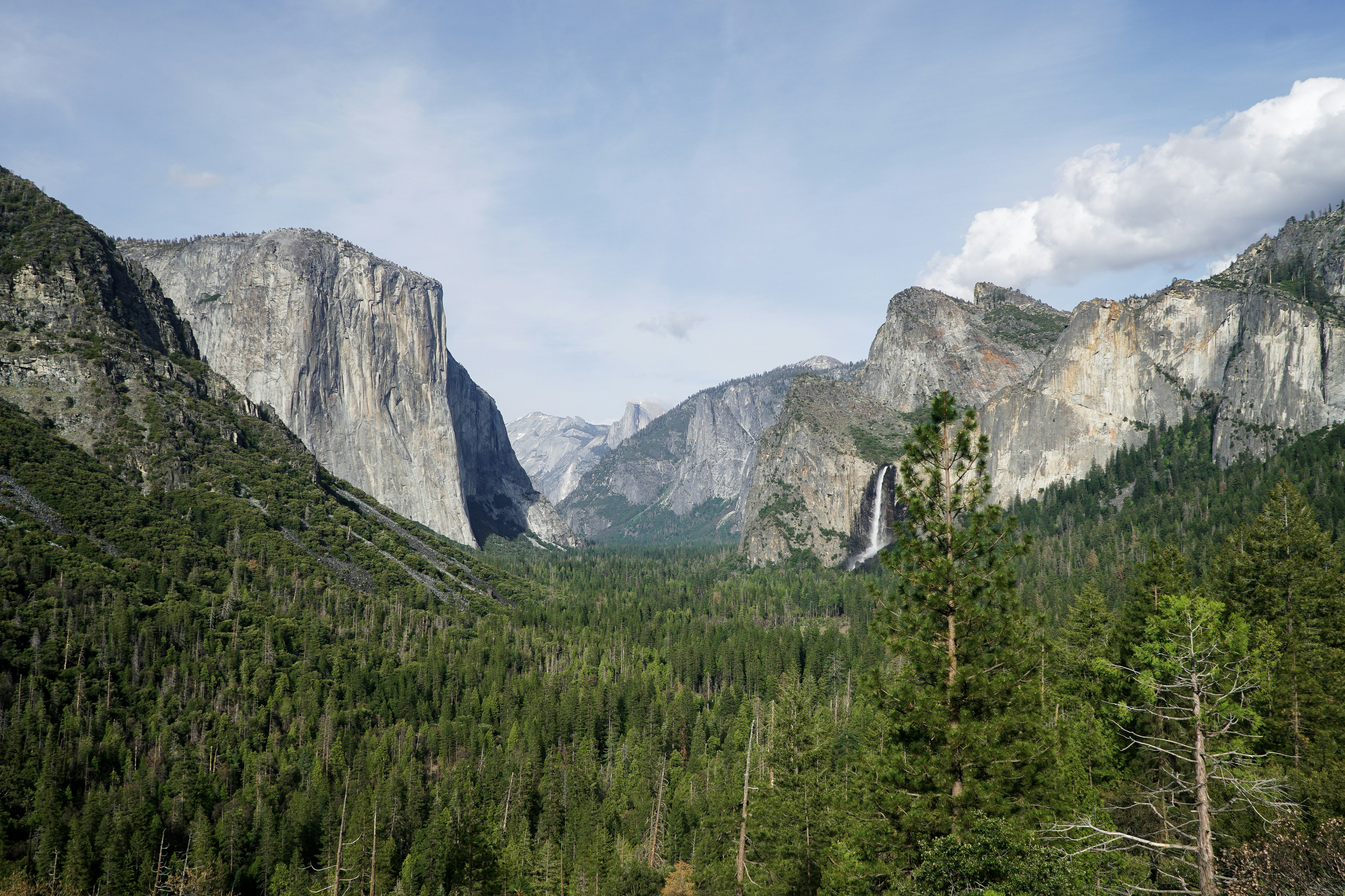 Cathedral Peaks Over a Pine Valley