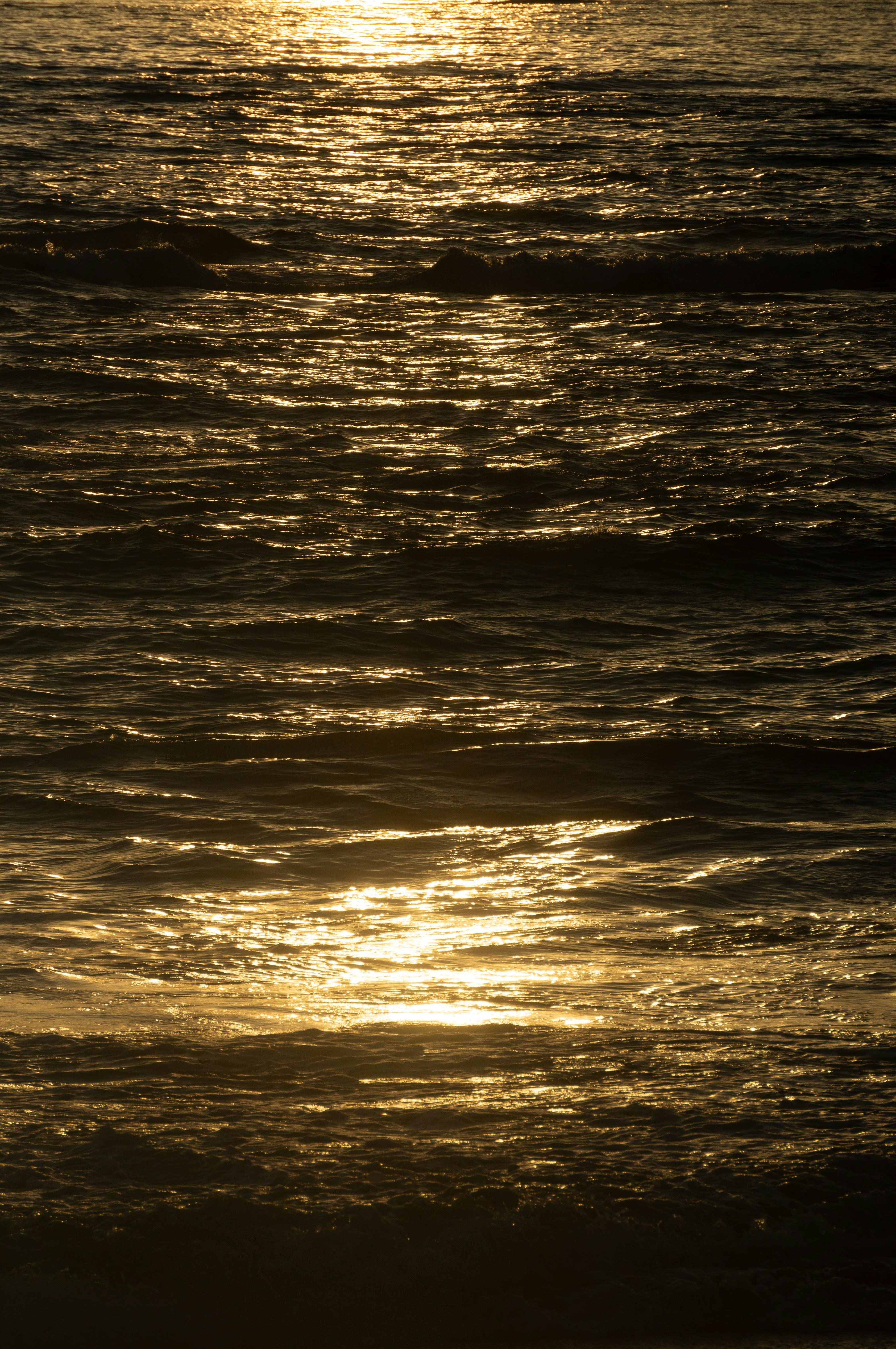 Golden Ripples: Sunset Glissade on a Quiet Sea