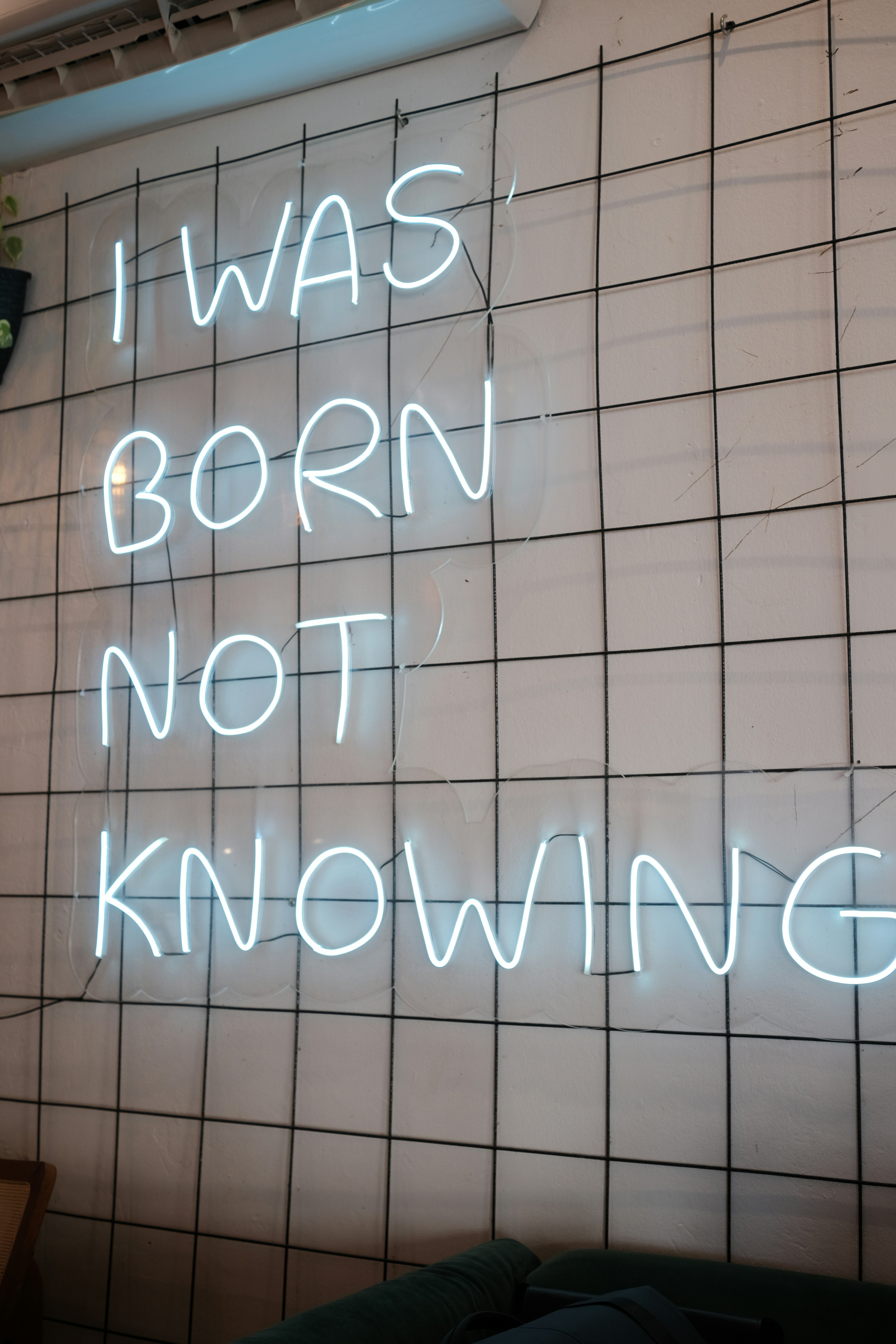 Neon Script: I Was Born Not Knowing
