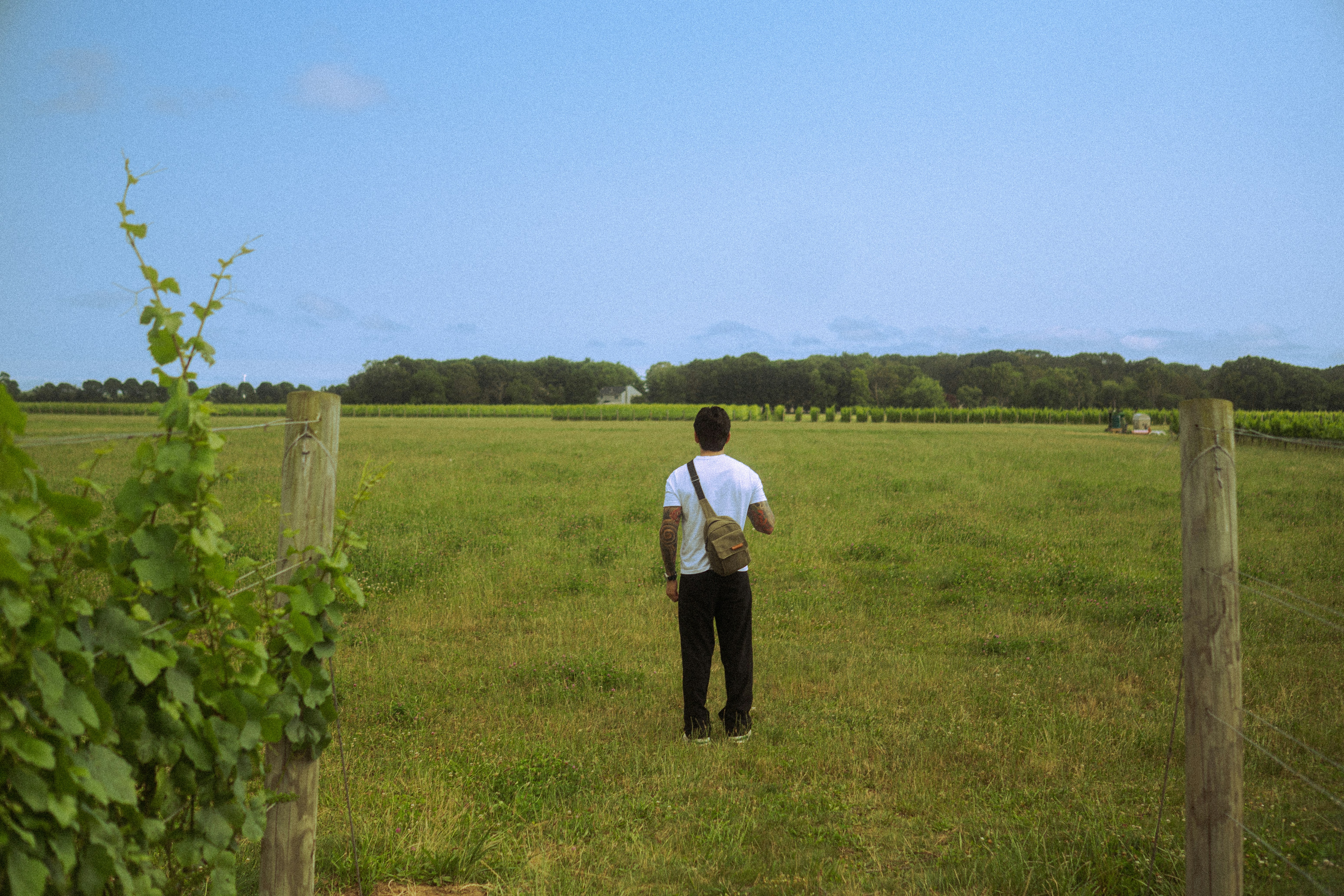  lone traveler in a sunlit rural field framed by weathered fence posts