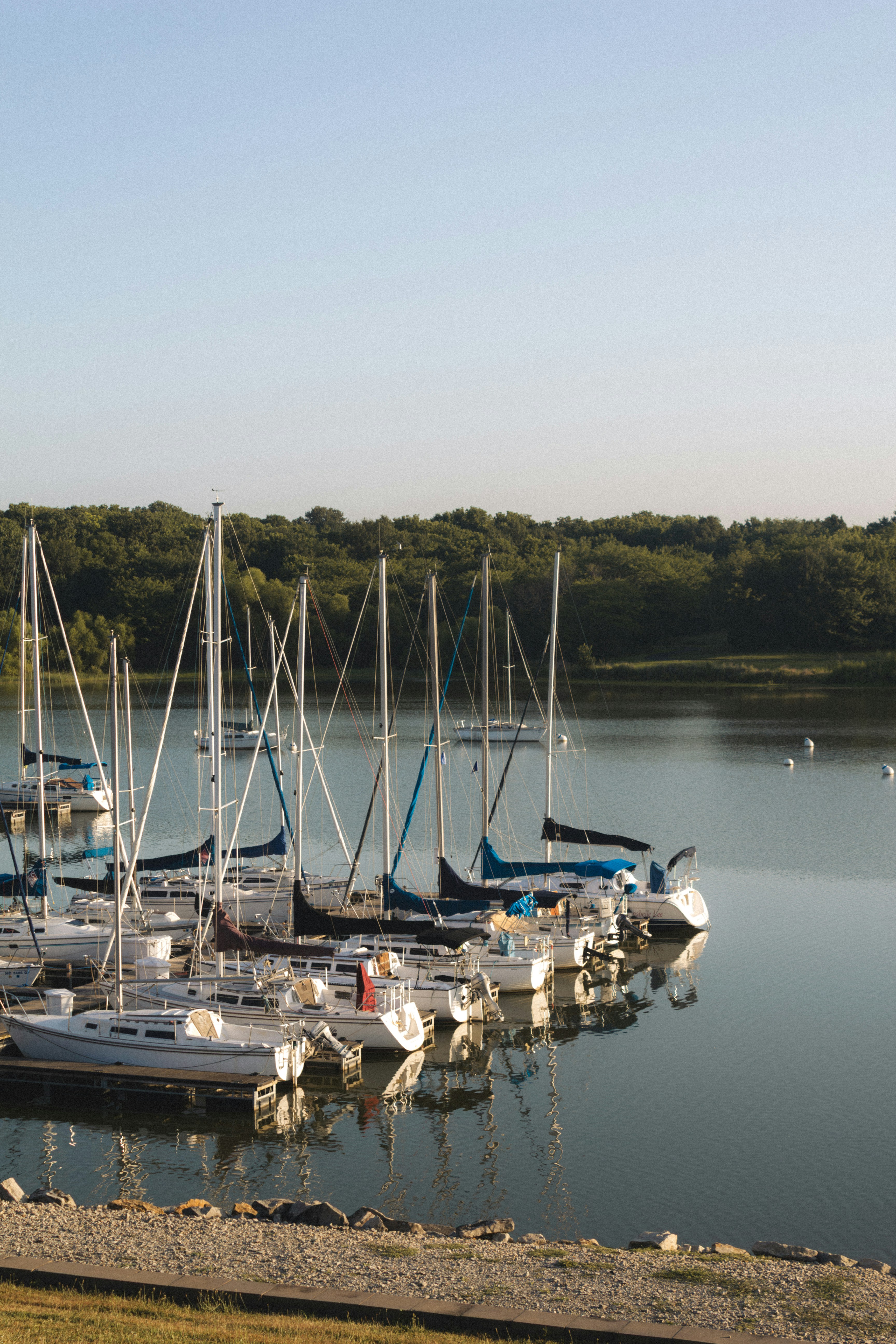Marina with moored sailboats along calm water, masts forming vertical lines against a tree-lined shore at golden hour.