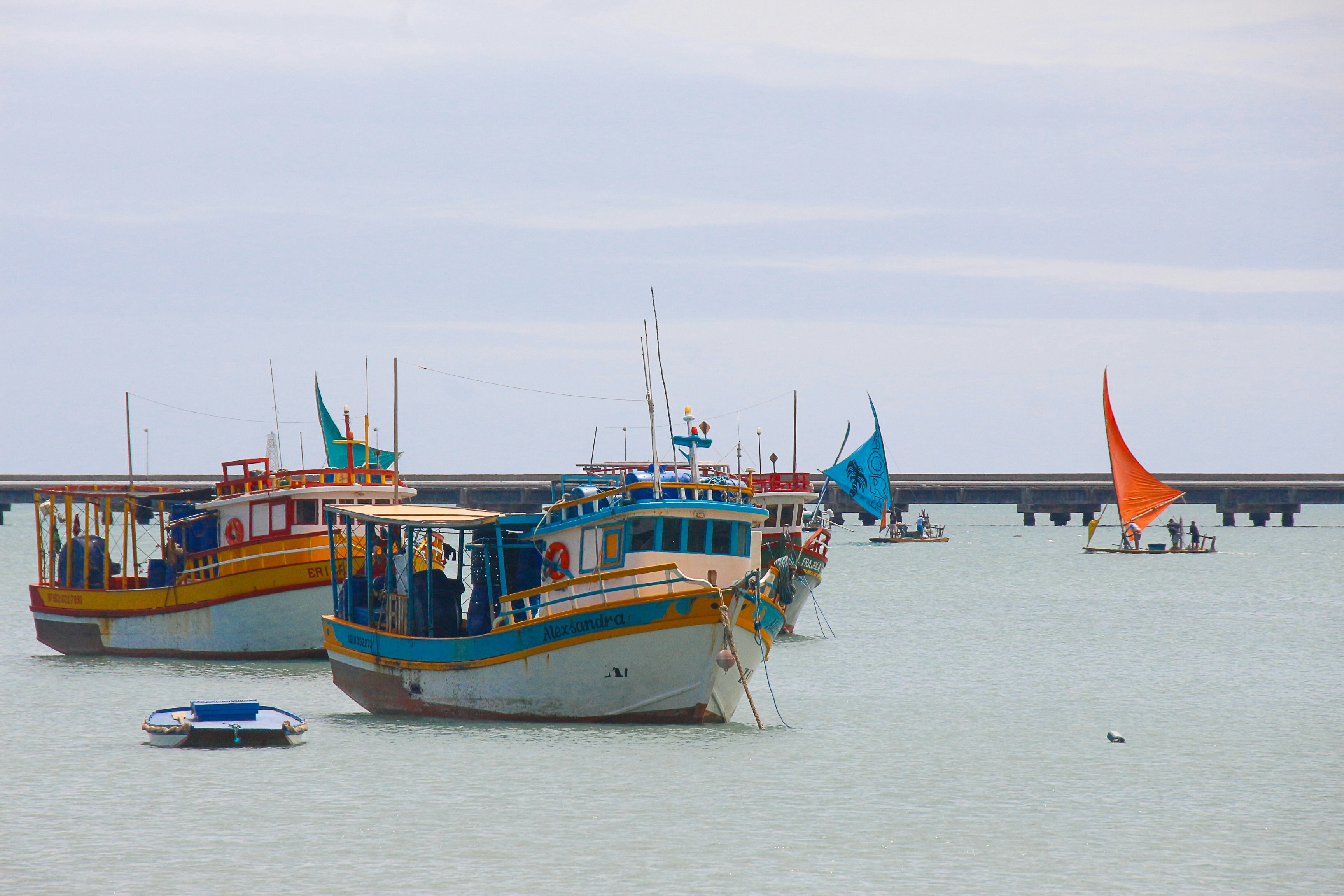Colors on the Calm: Fishing Boats Rest in a Quiet Sea
