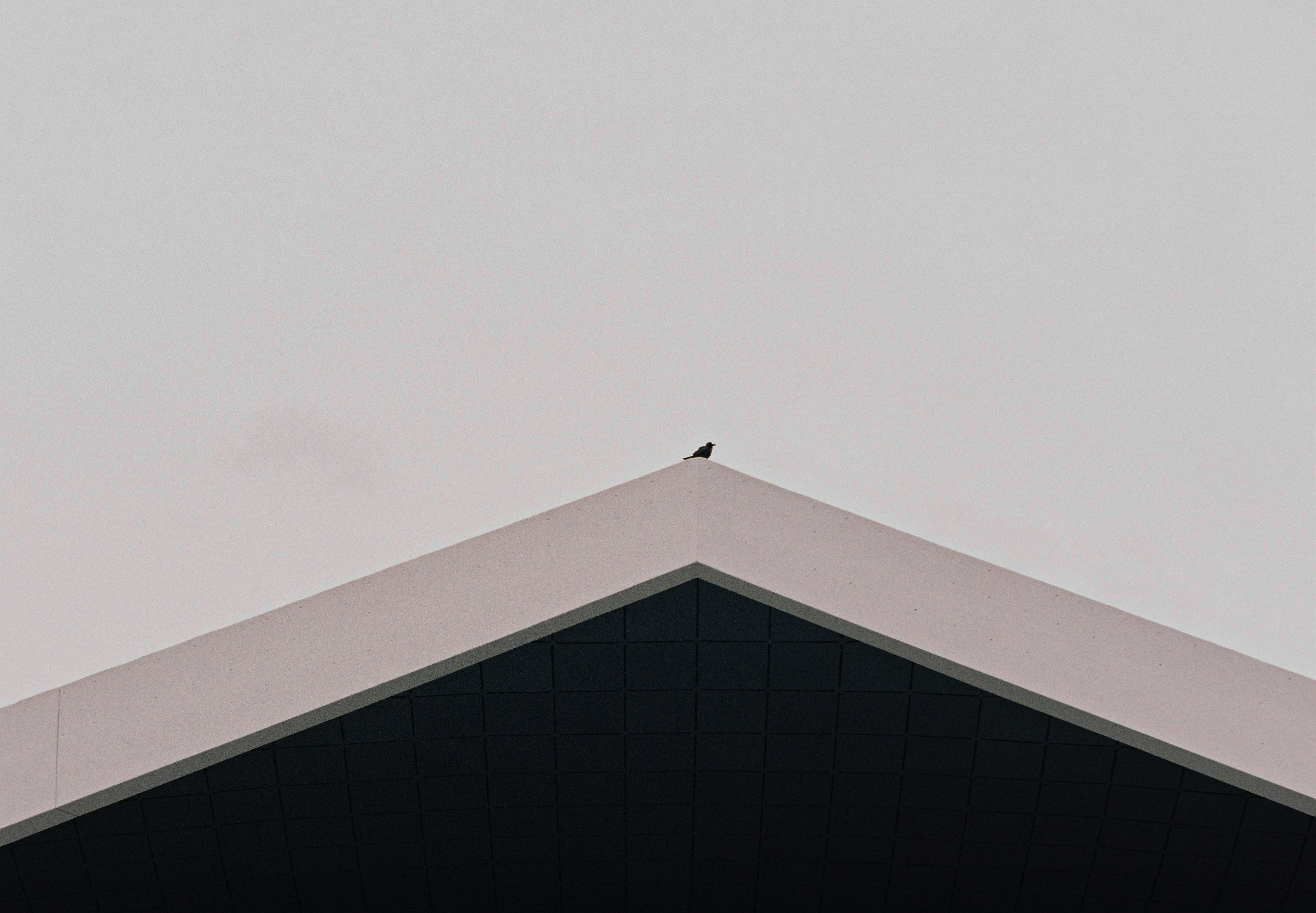 Triangular Summit: A Solo Rooftop Gnat at Dusk