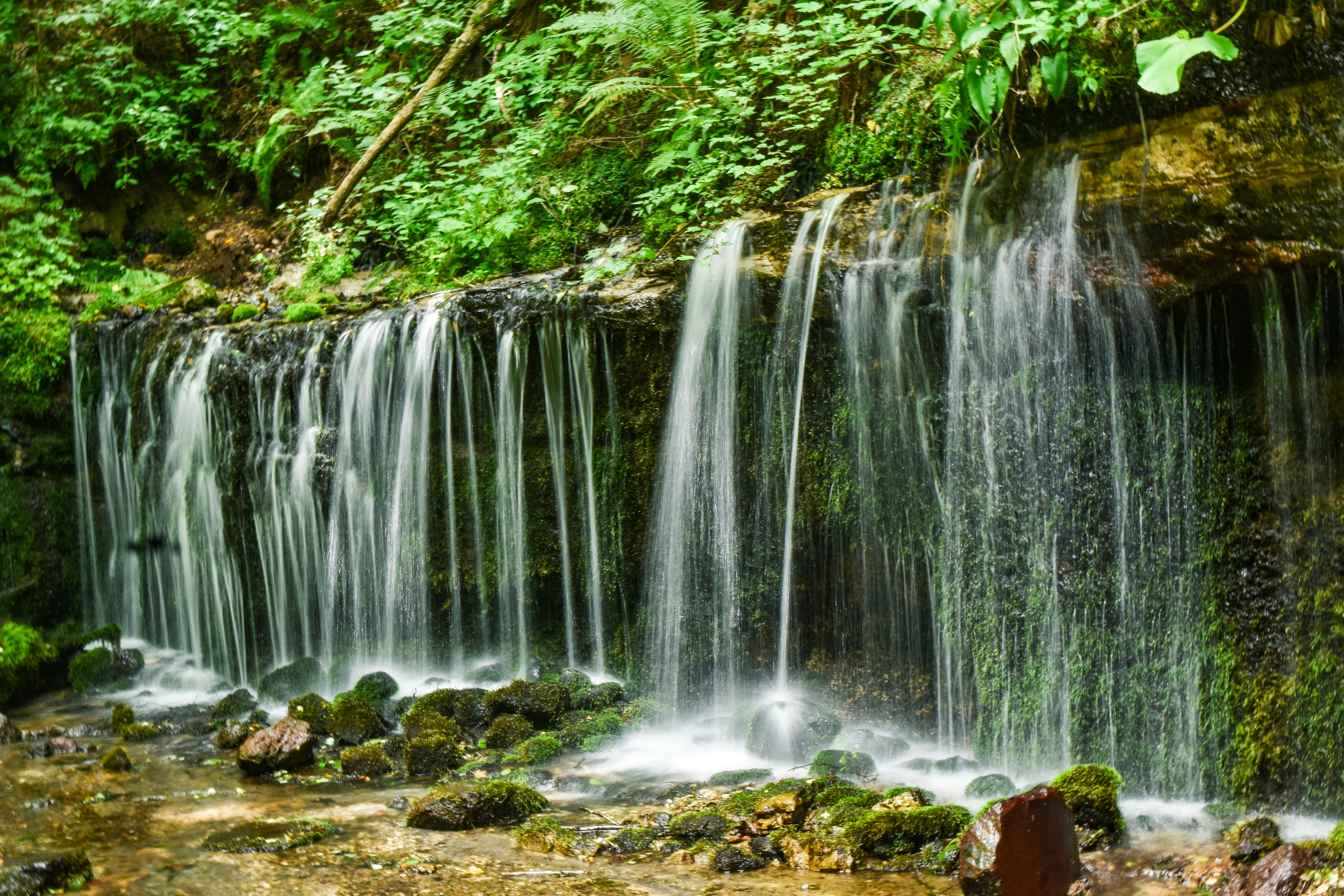 Quiet Cascade: Mossy ledge and silky streams