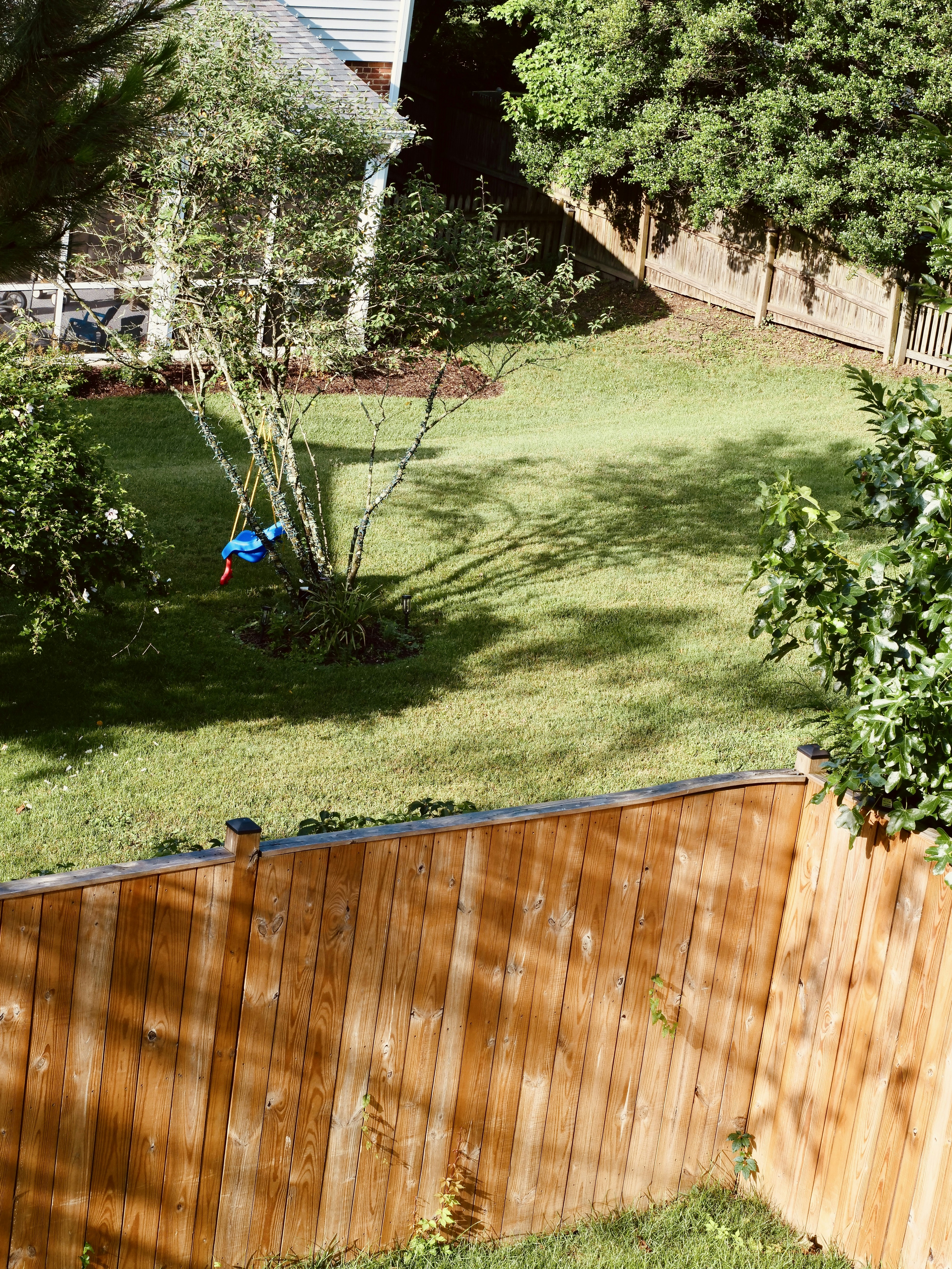 Backyard Scene with Swing Ornament and Sunlit Fence