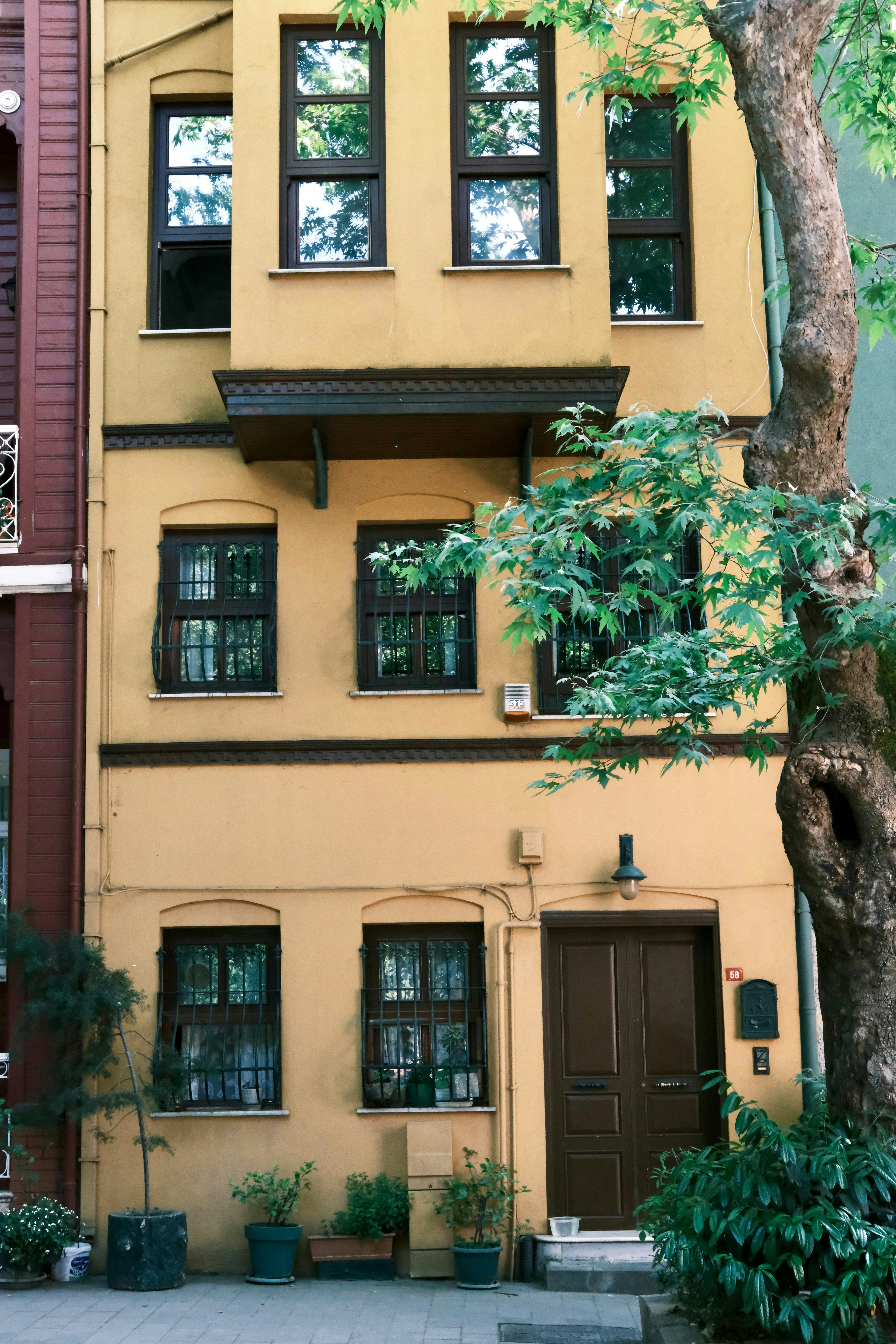 Golden Facade with Green Canopy