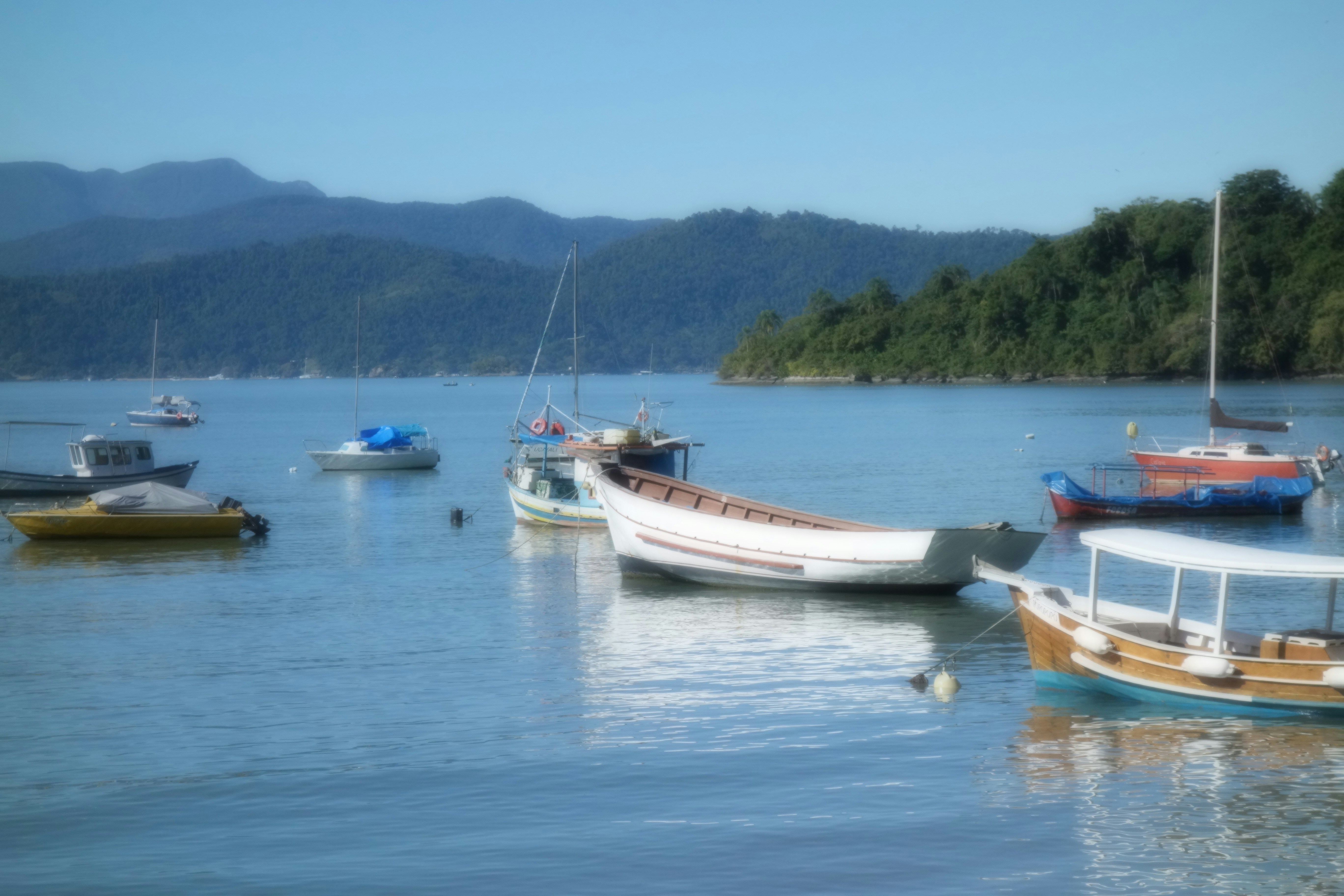 Calm harbor with several small boats resting on gentle water, distant hills under a pale blue sky.