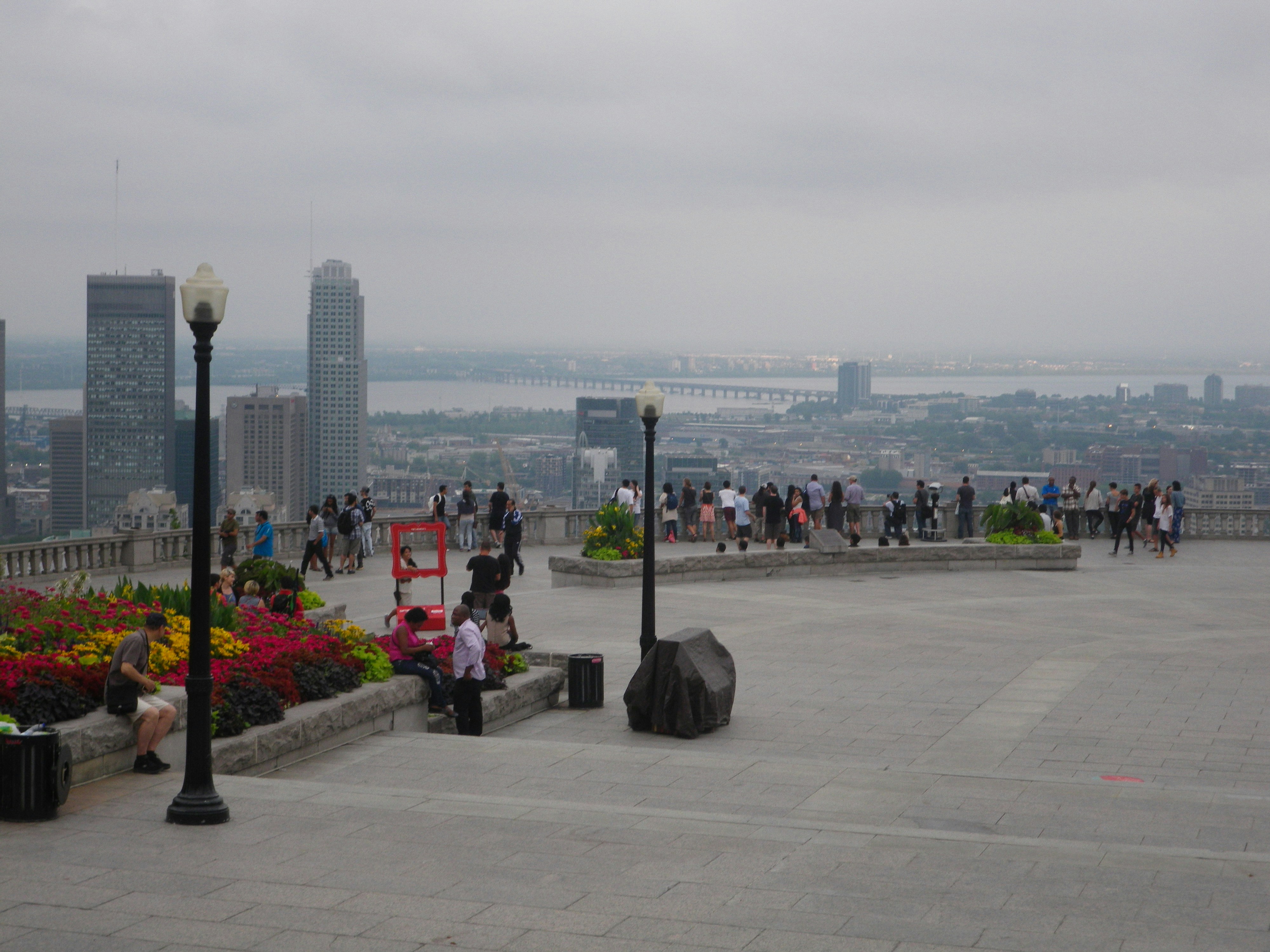 Rooftop Panorama: A Quiet Gathering Beneath City Lights