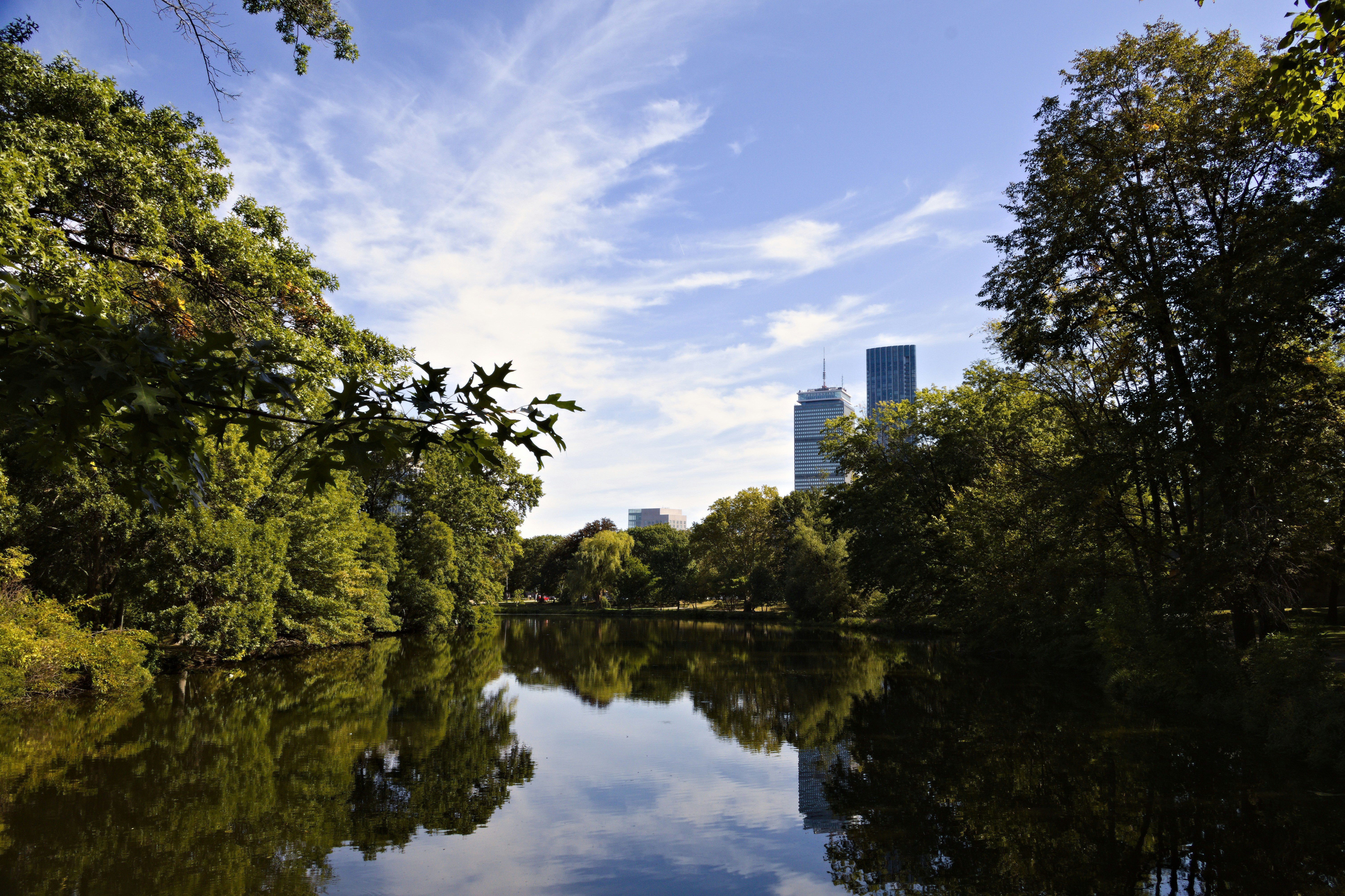 City skyline rising beyond a tranquil river grove