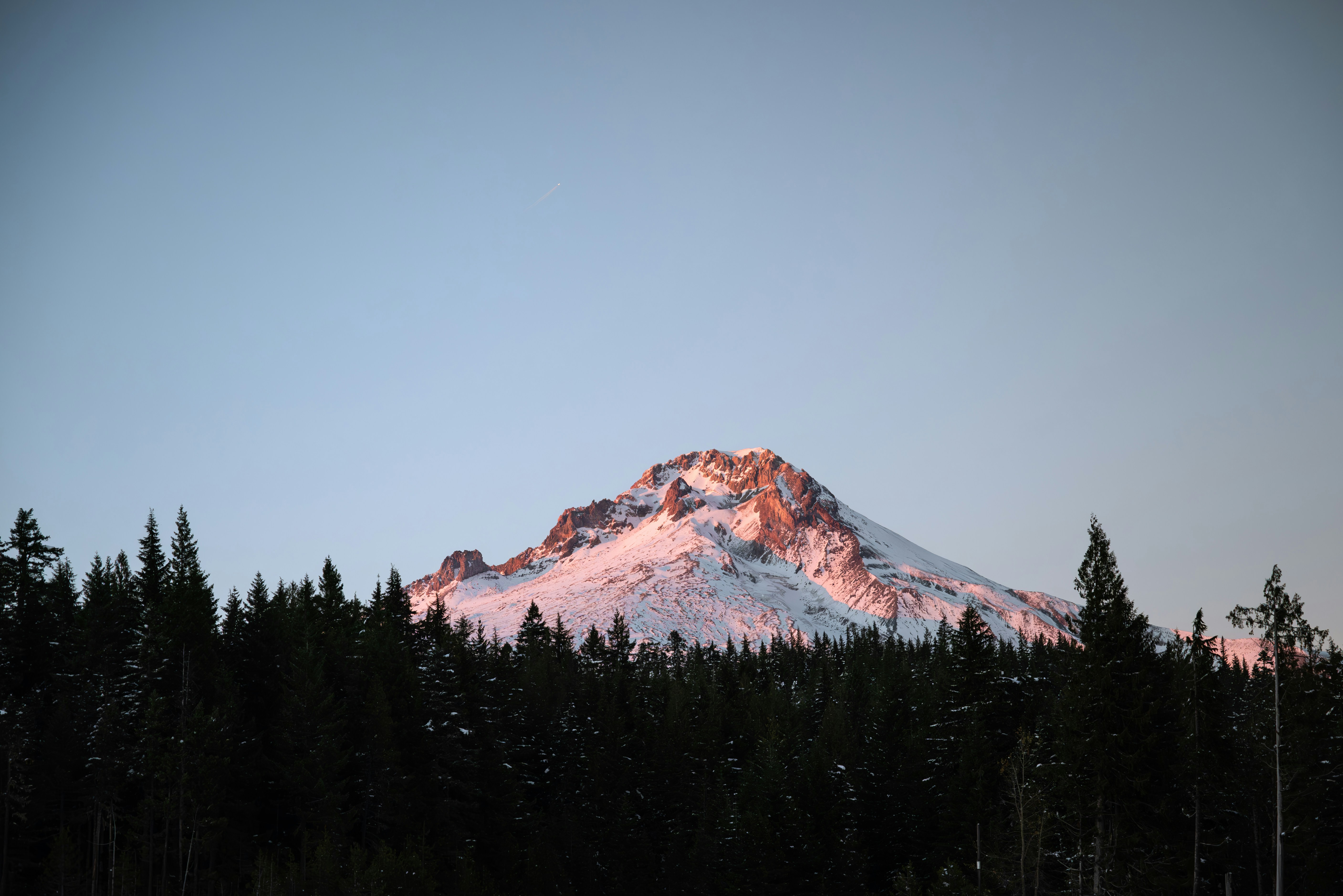Snow-capped Peak Rising Above Dark Forest