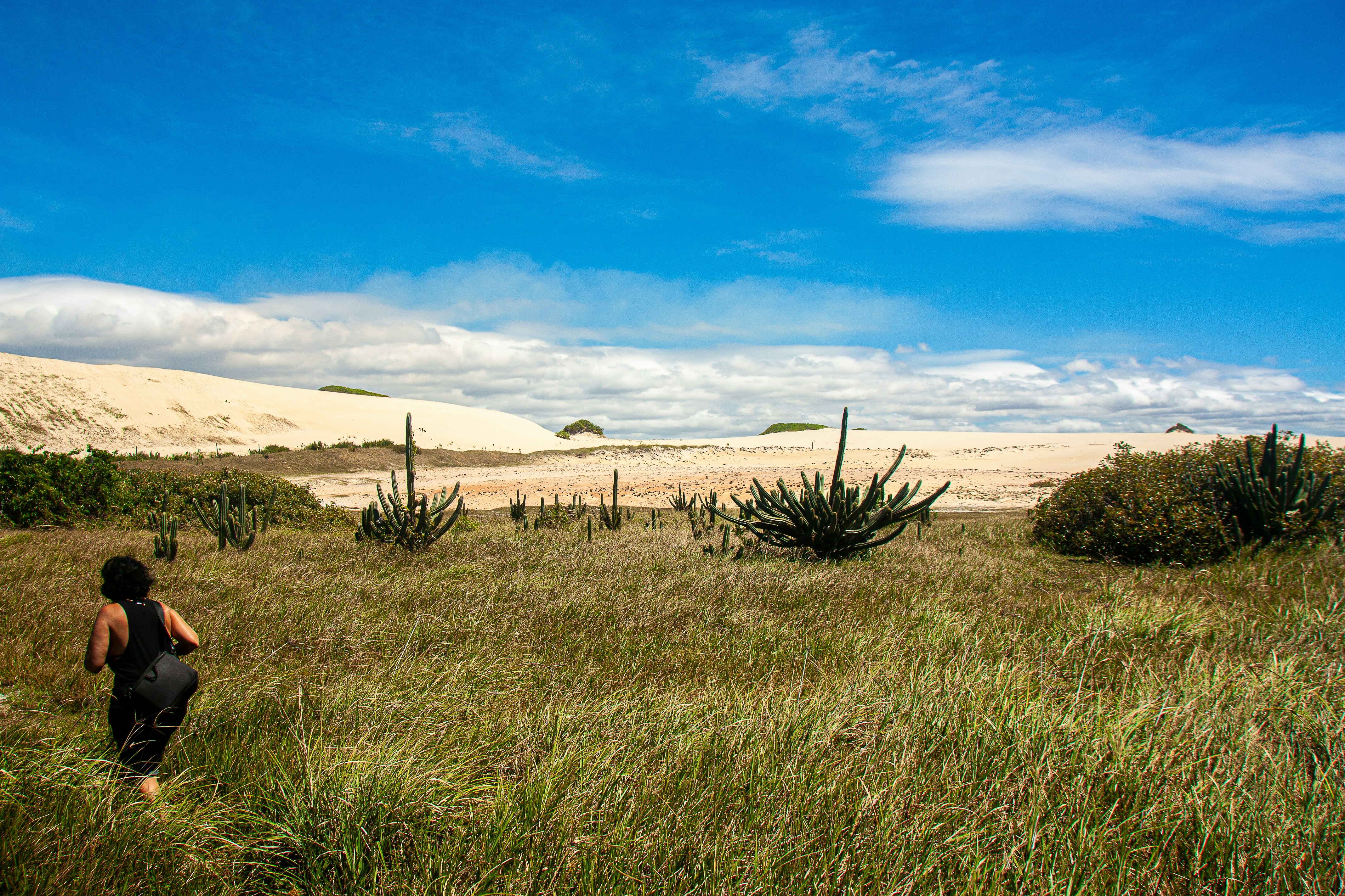 Runner among dune grasses under a bright coastal sky