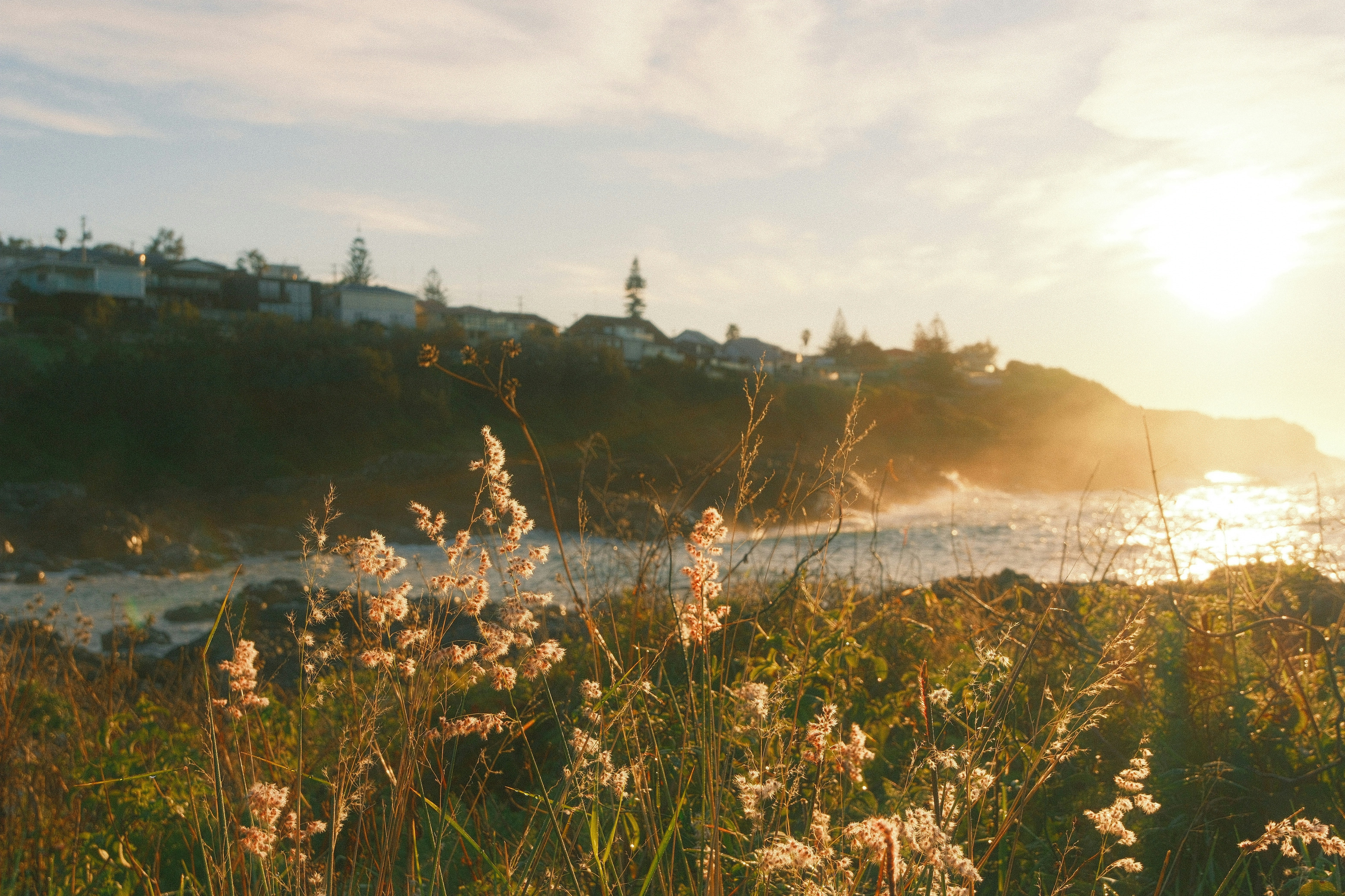 Golden Shoreline Panorama at Dusk