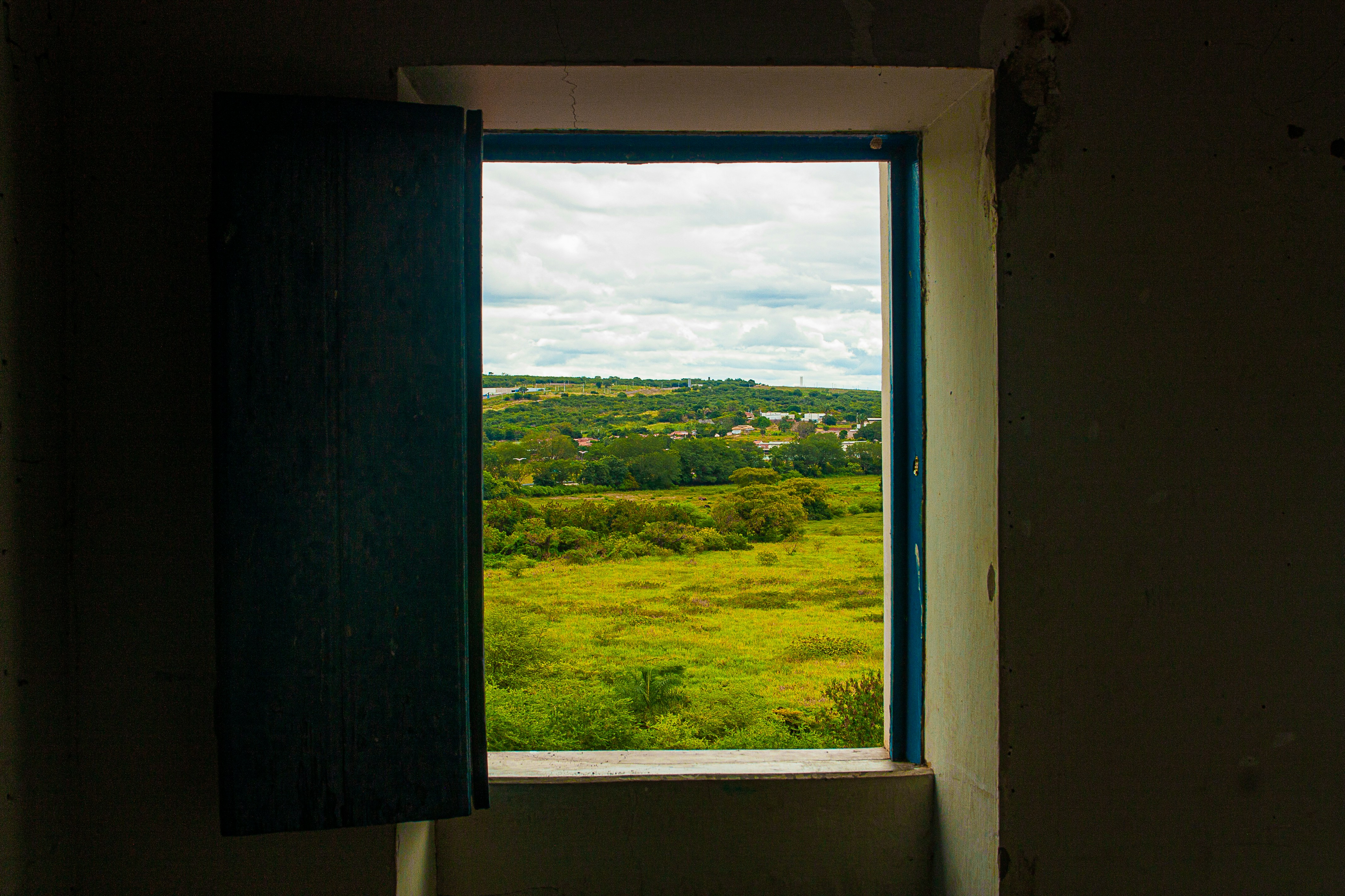 Window to the Fields: A Quiet View from a Dim Room