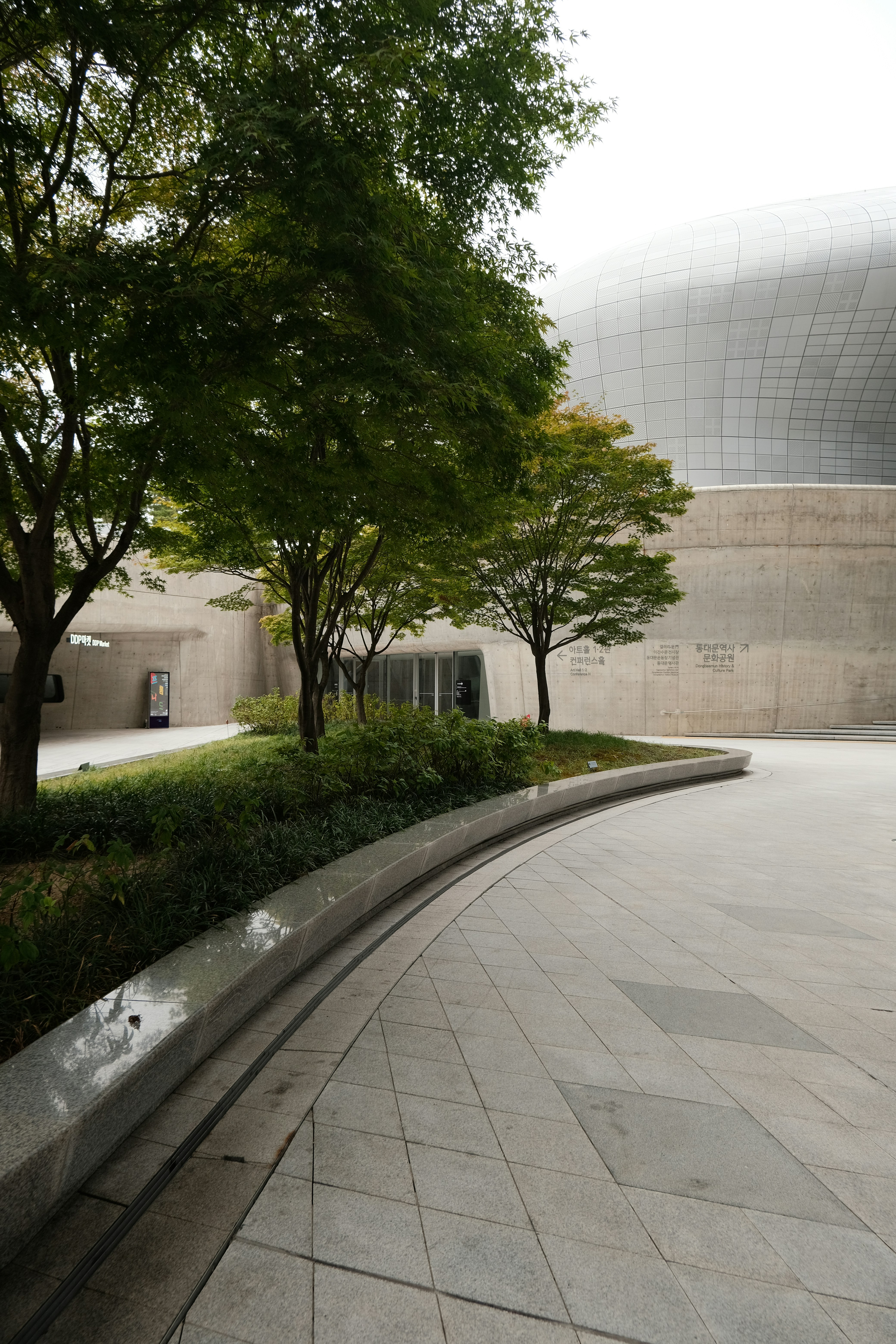 Arc of Calm: Urban Garden Framed by Modern Architecture