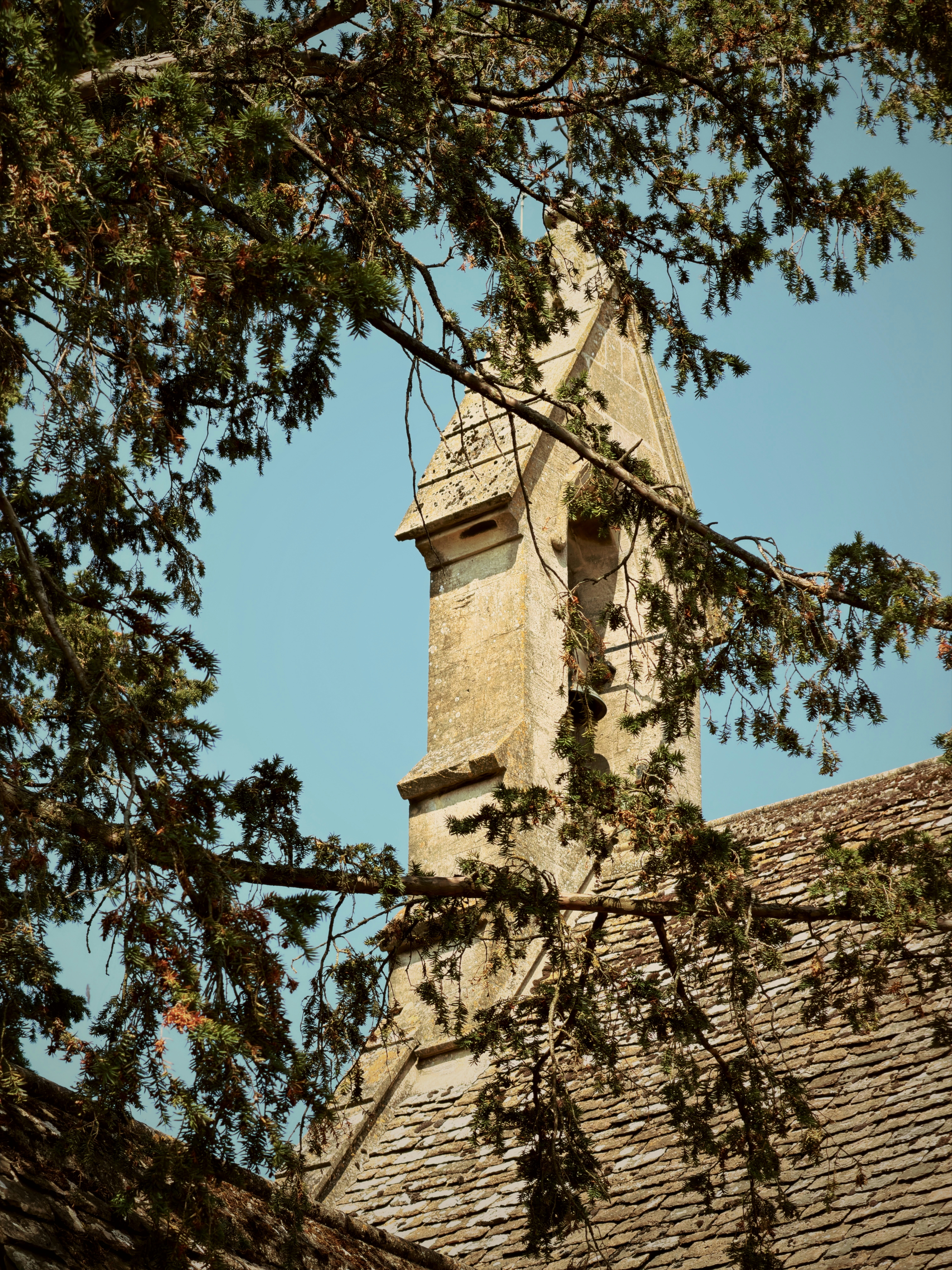 Stone Spire Pinned by Pine Veils