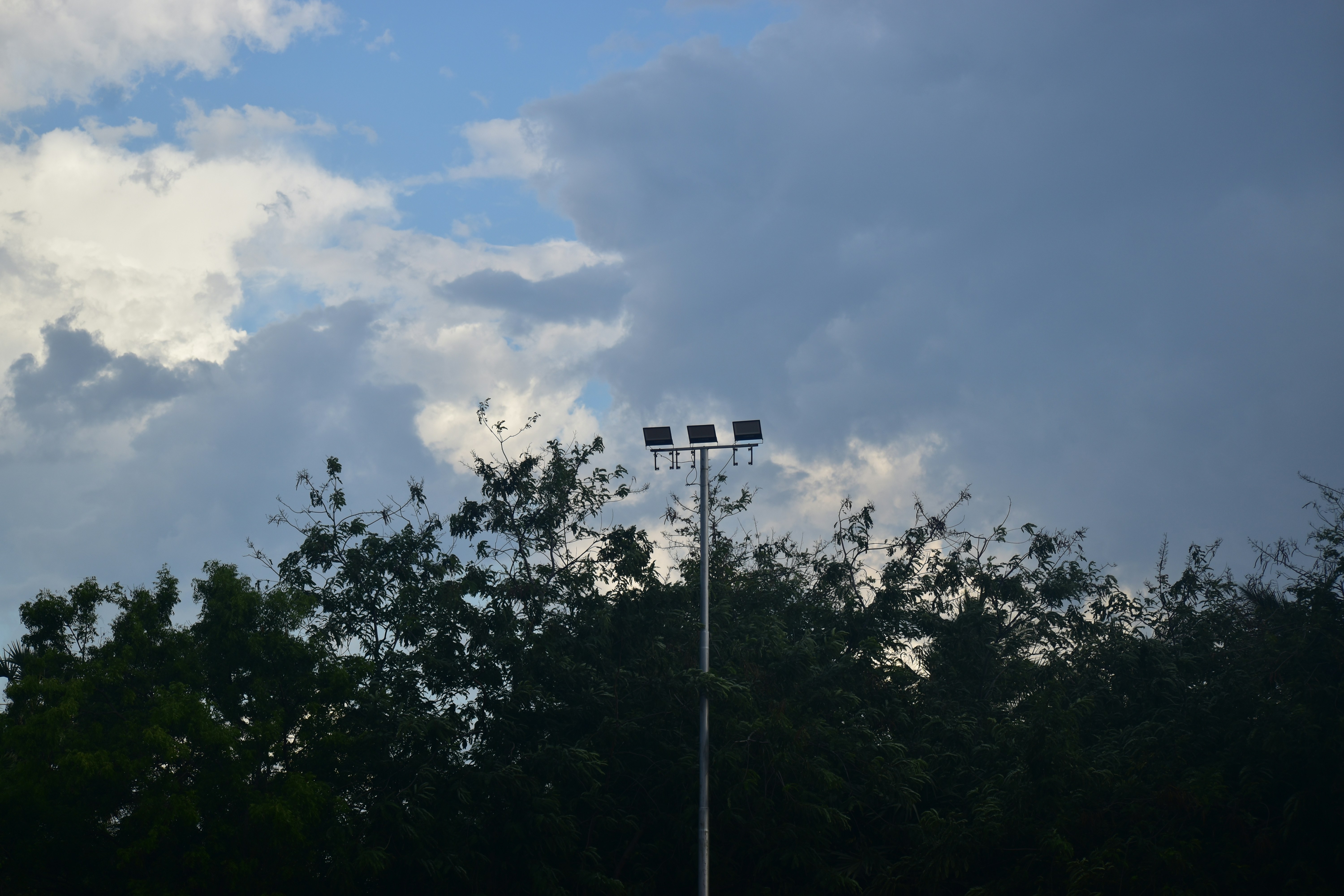 Lamp Post Sentinel Beneath Skies