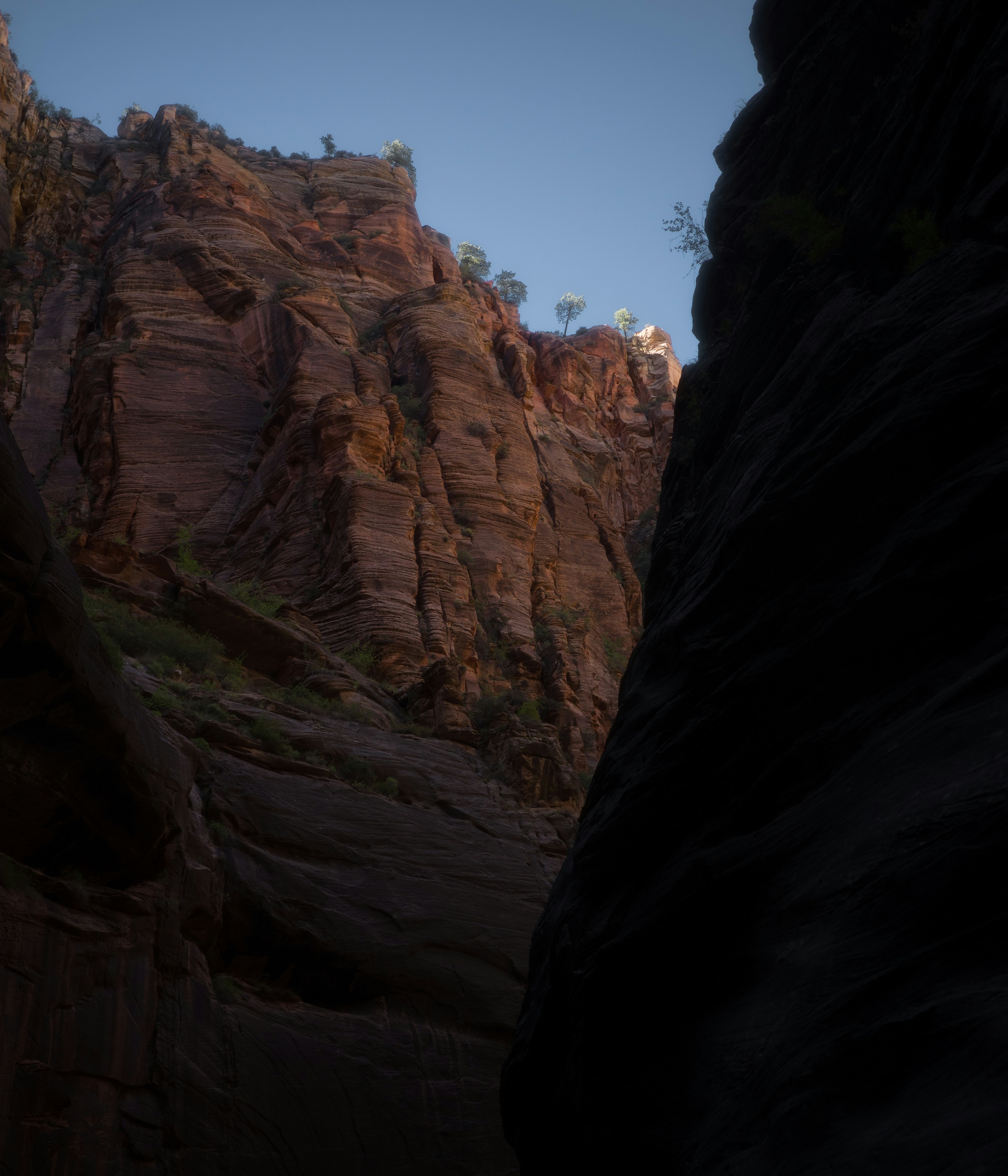 Sunlit Ridge: Crimson Cliff Faces Above a Dark Canyon Pass