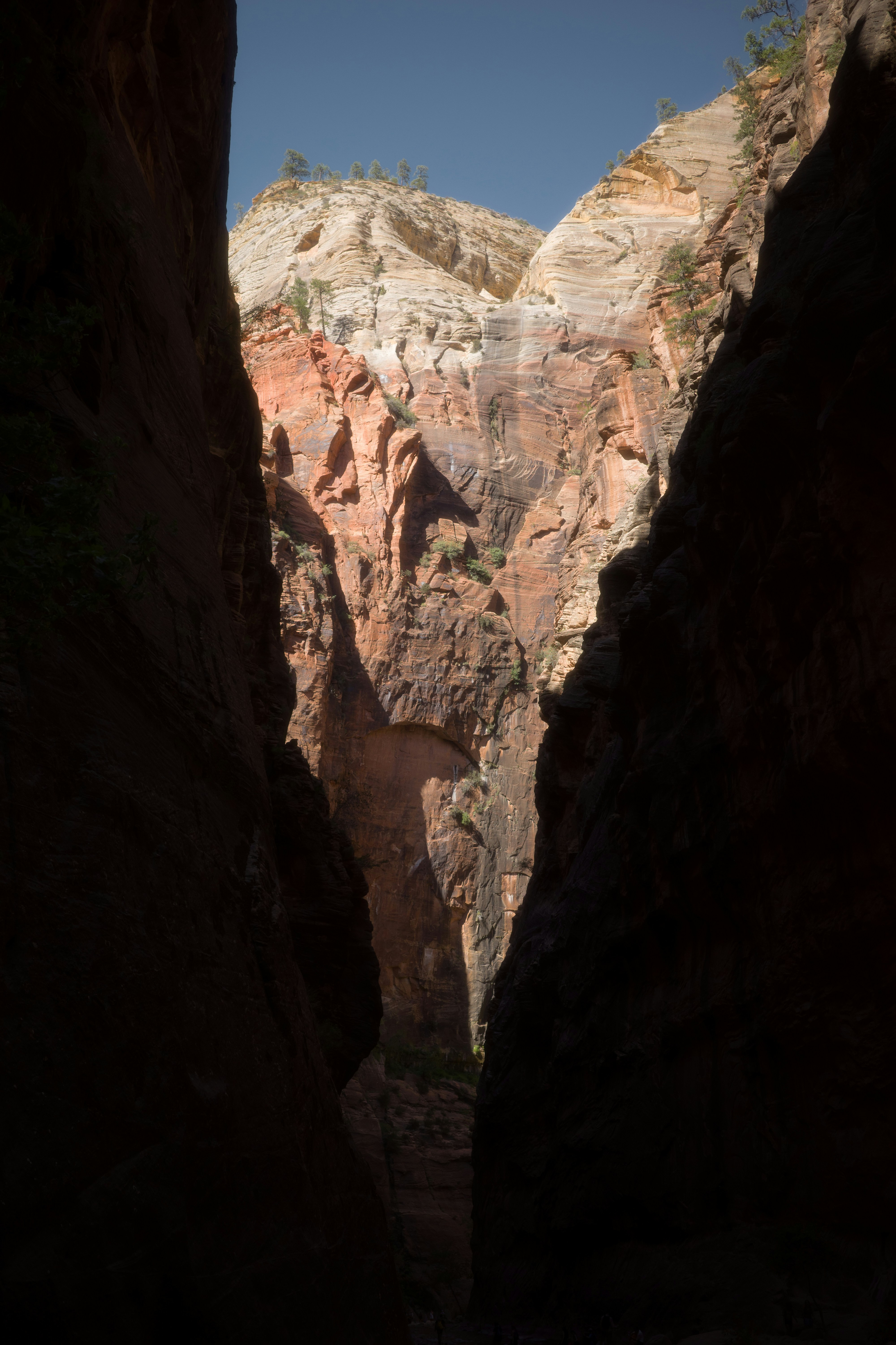 Canyon Cathedral: Light Sifts Through a Narrow Gorge