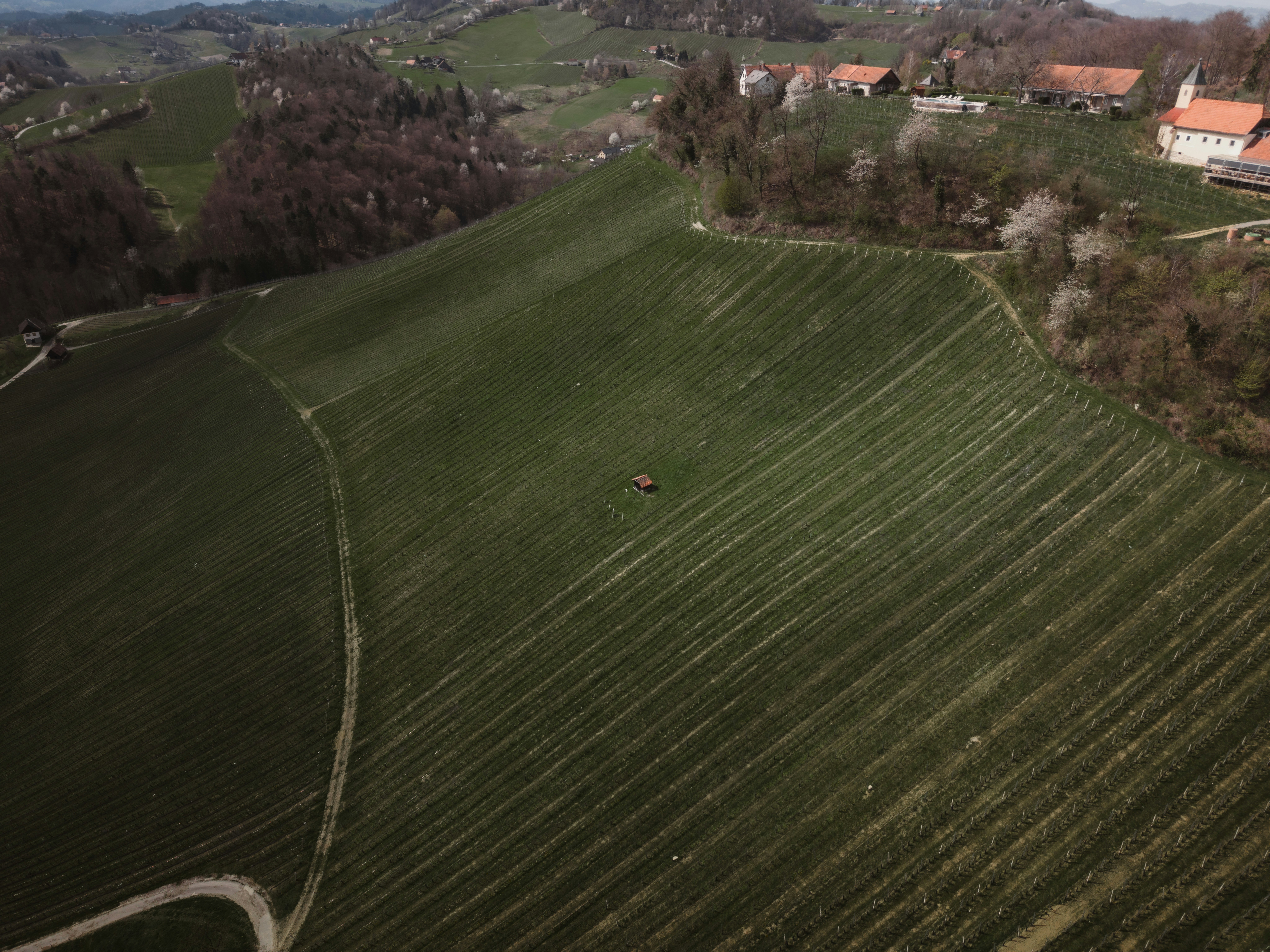 Terraced Field of Distant Farmstead