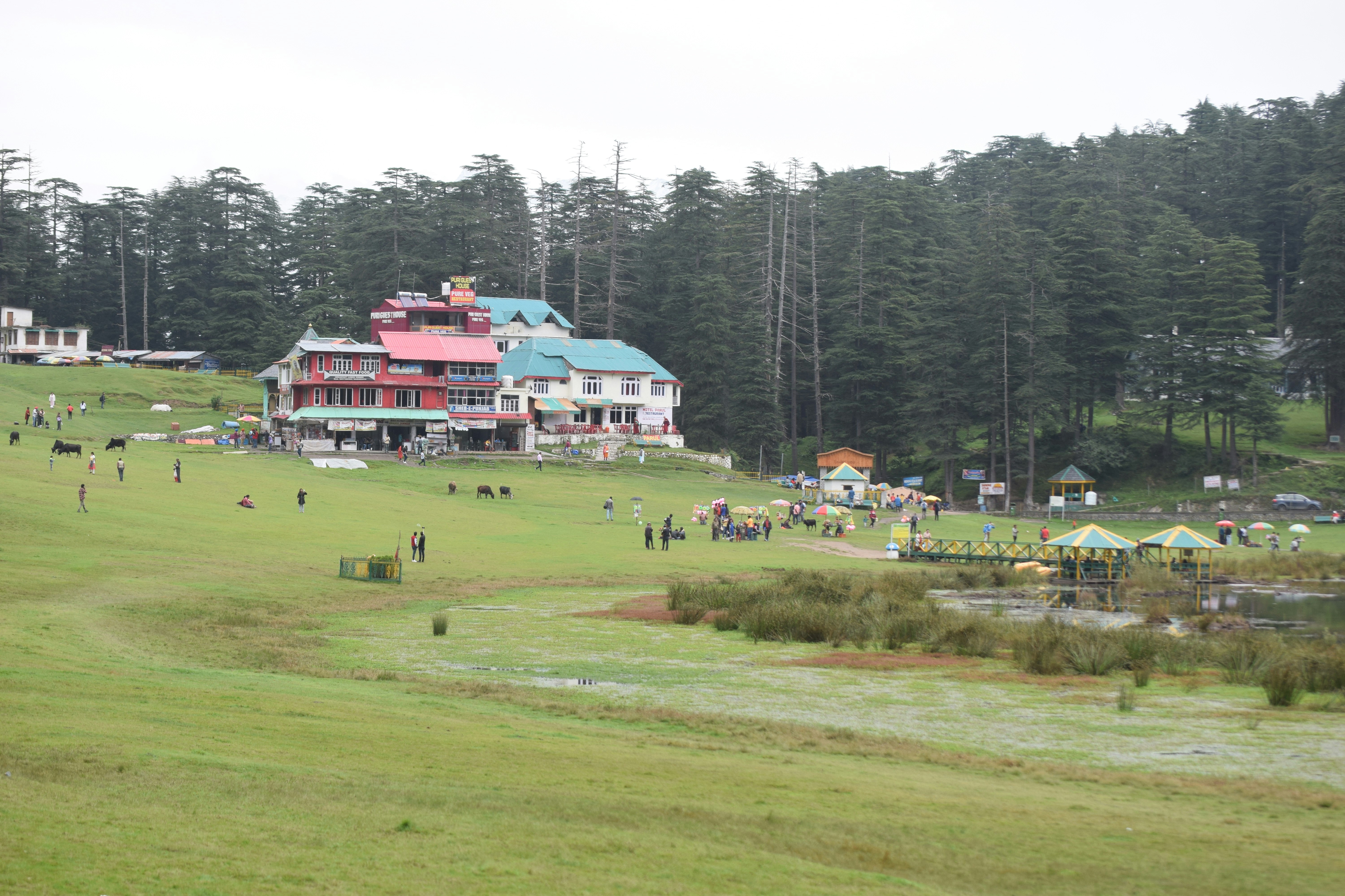 Colorful Lodge by the Meadow: A Busy Sunday at the Resort