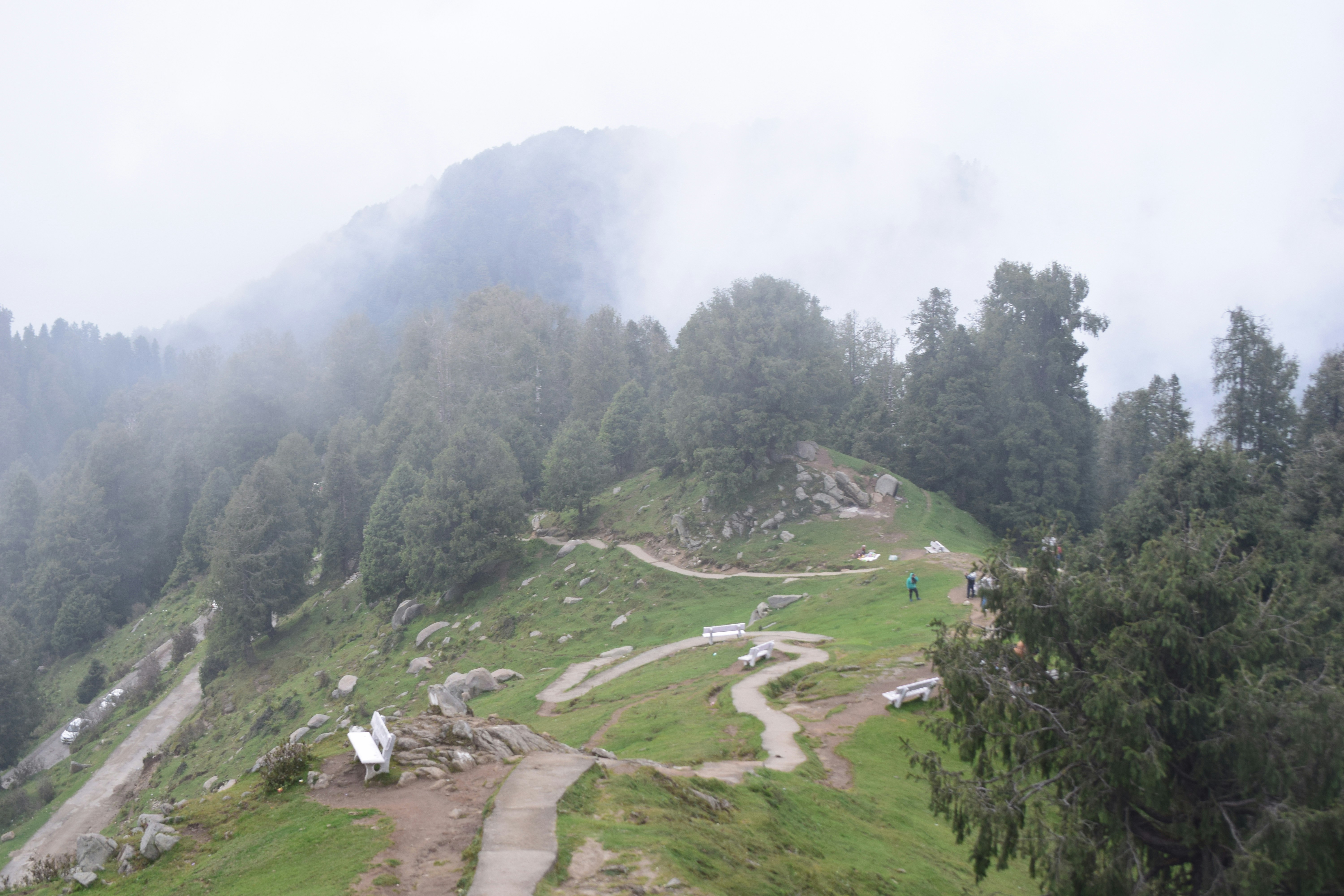 Mist-Softed Ridge: A Trail through Quiet Clouds