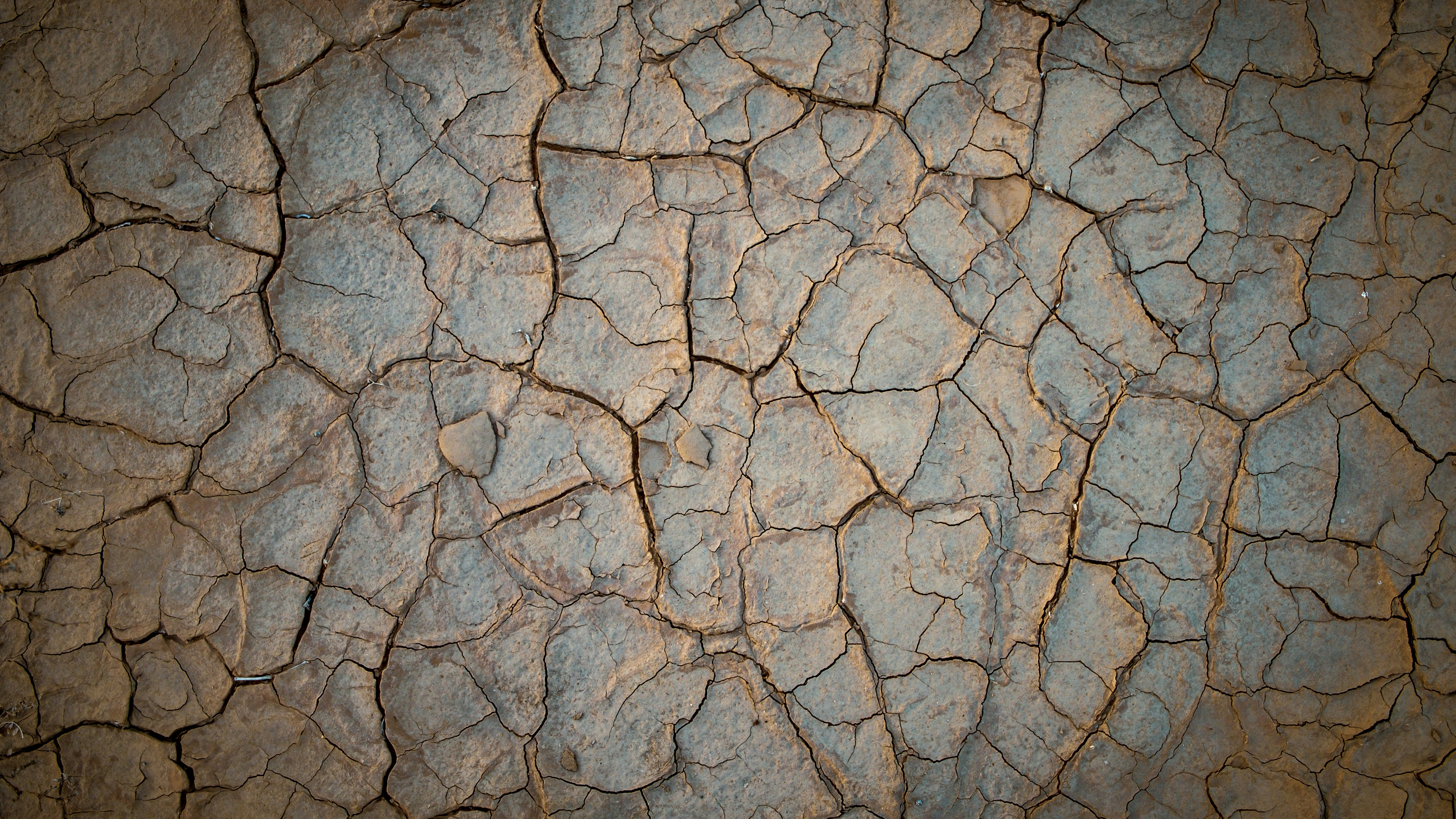 Parched Mosaic: Close-Up of Cracked Earth Across Scales