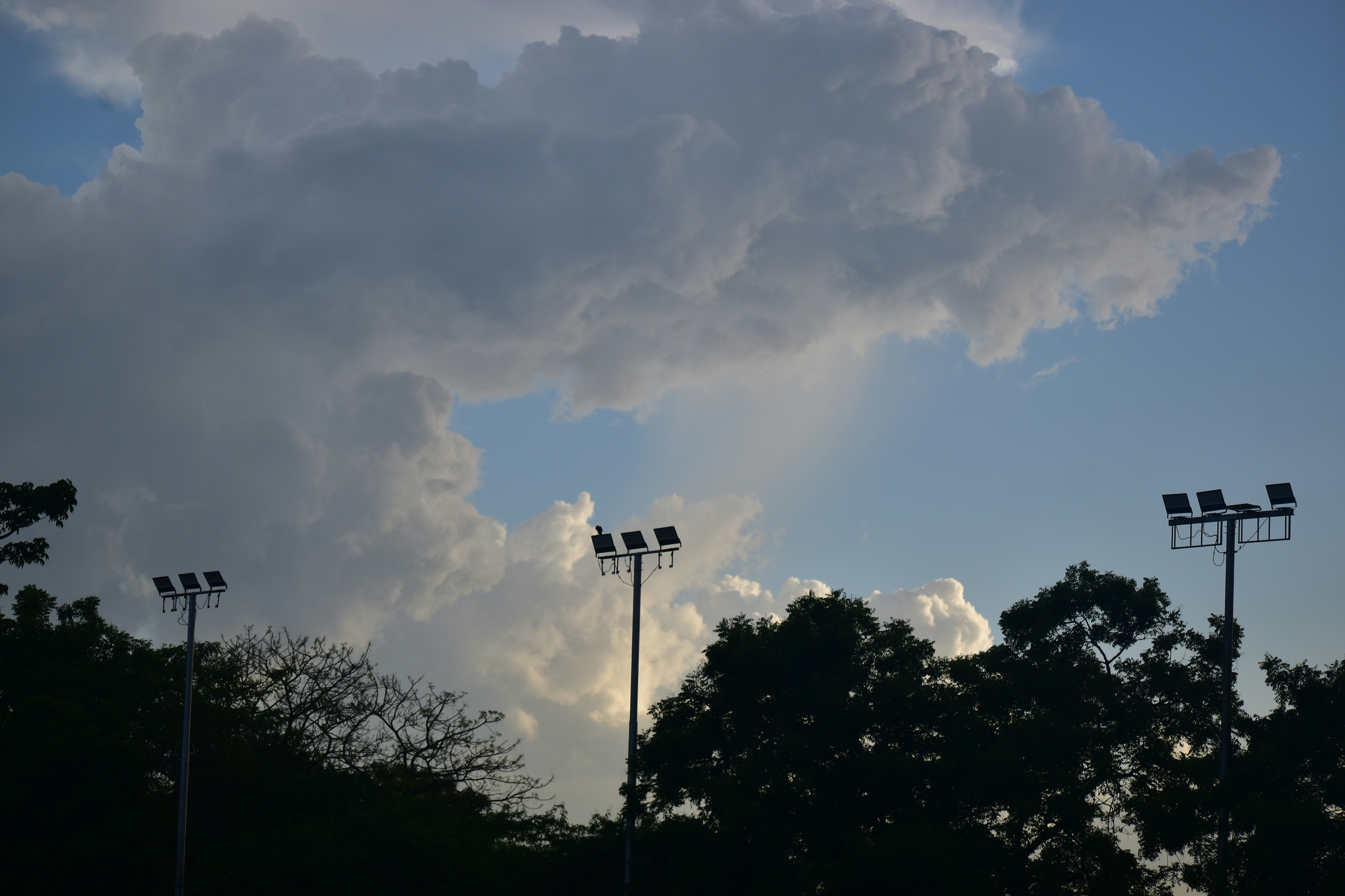 Dimly lit stadium lights rise above a silhouetted treeline against a sky pierced by a single sunray and a dramatic cloud.