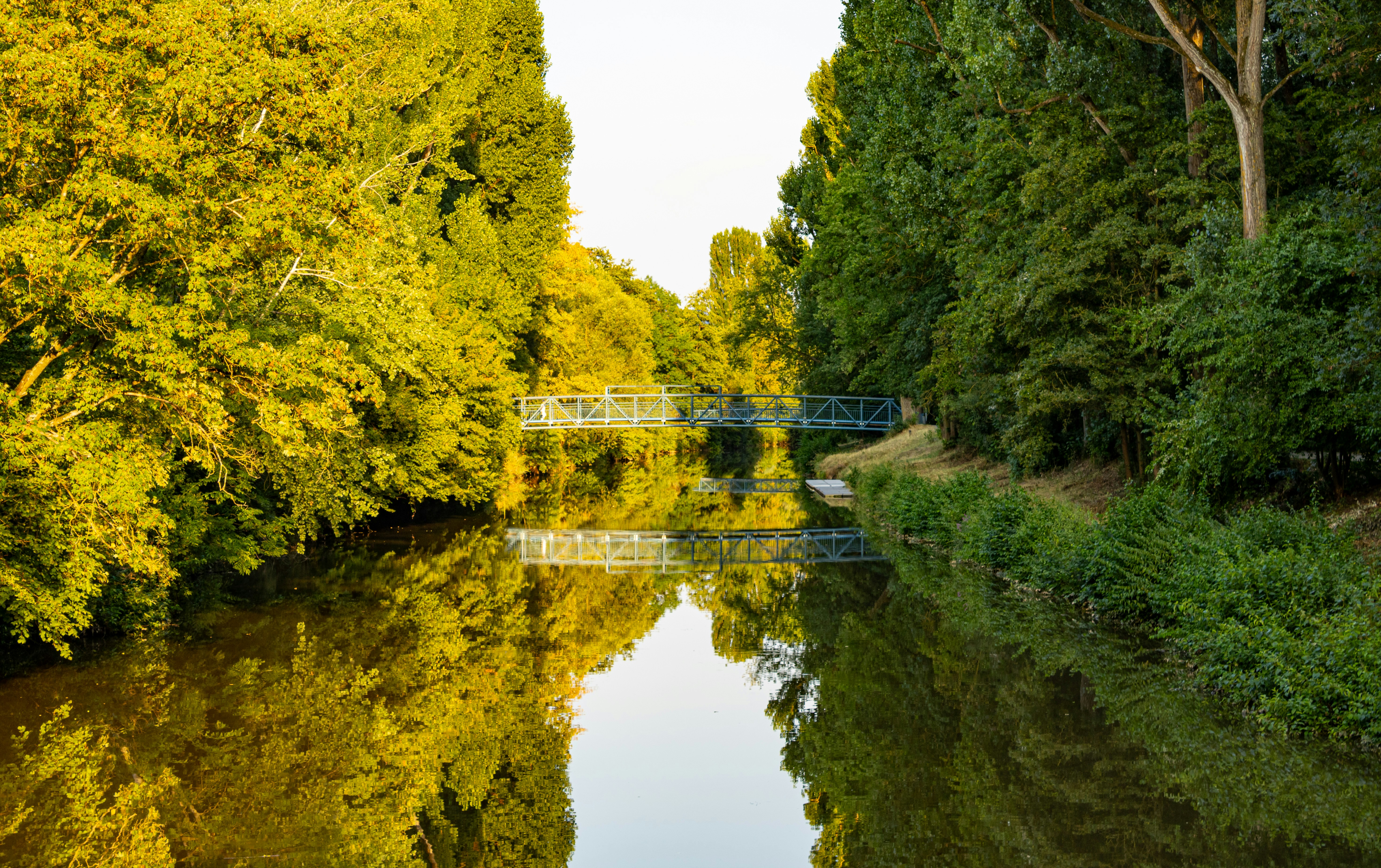 Mirror Bridge: Autumn Avenues Along the Calm Canal