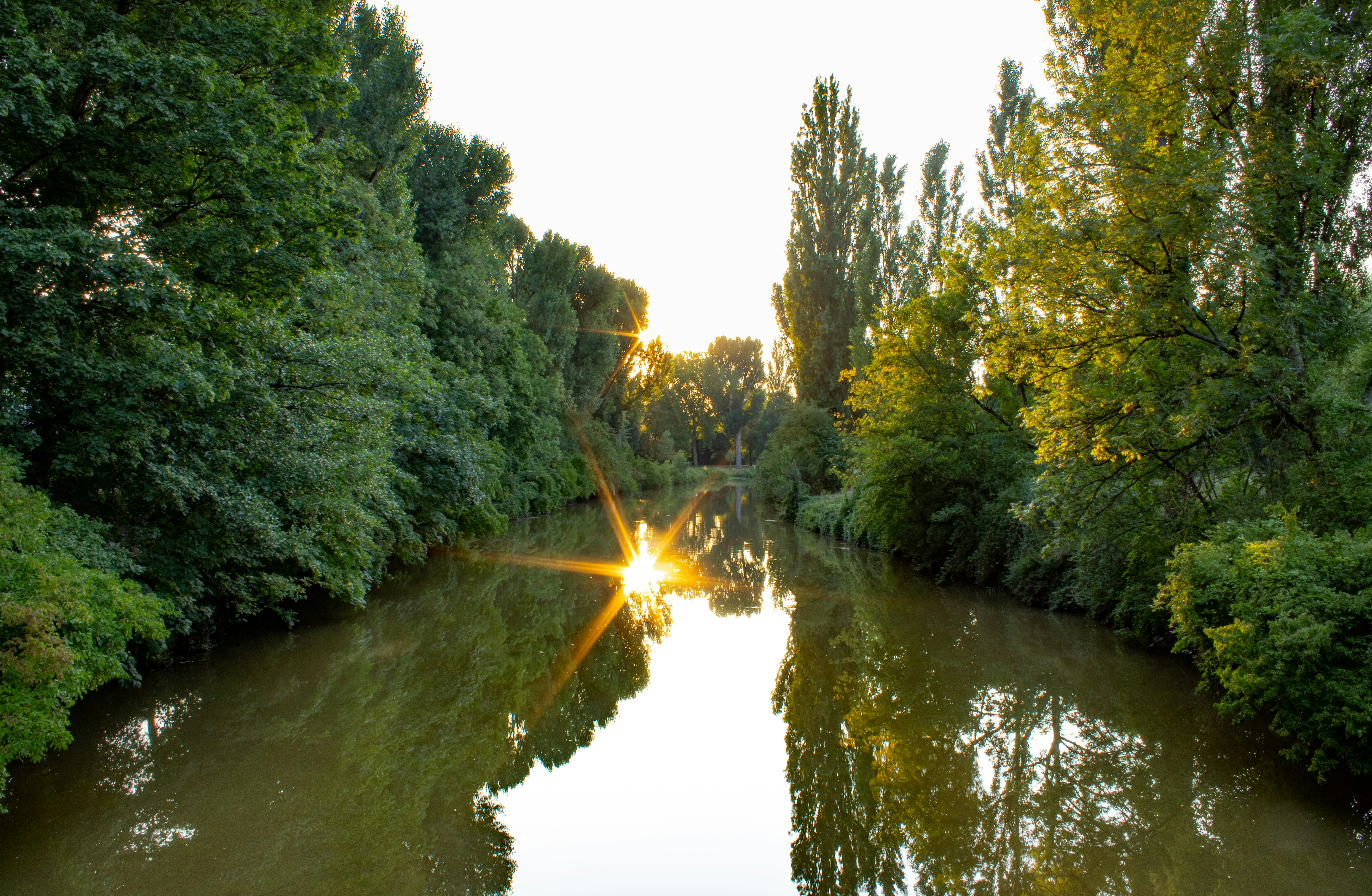 Dawn Mirror: A Riverside Channel Framed by Turning Trees