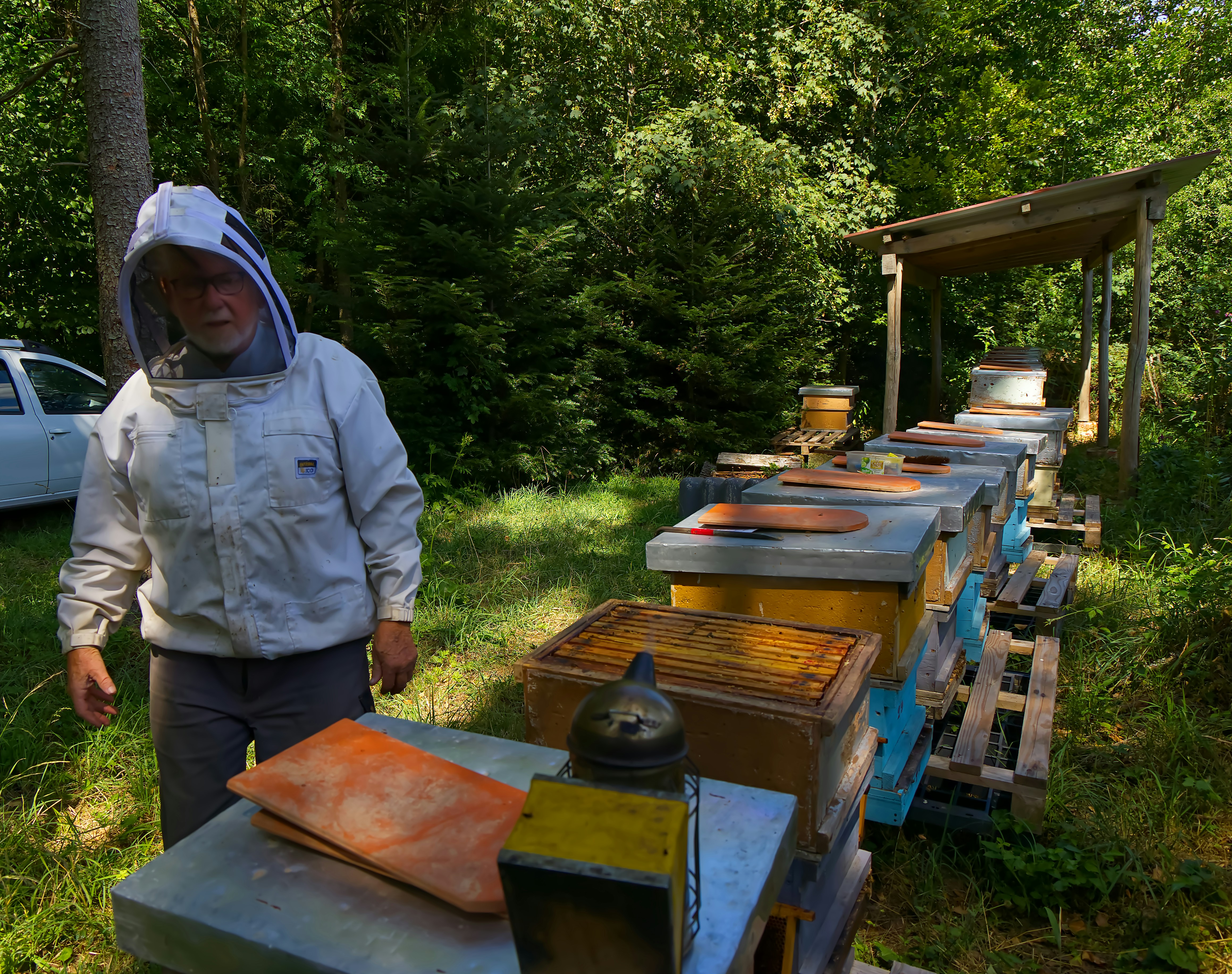 Beekeeper in a light jacket stands beside a row of colorful beehives in a shaded outdoor yard; a small vehicle is parked in the background, while the foreground hive frames and lids draw focus to the apiary setup.