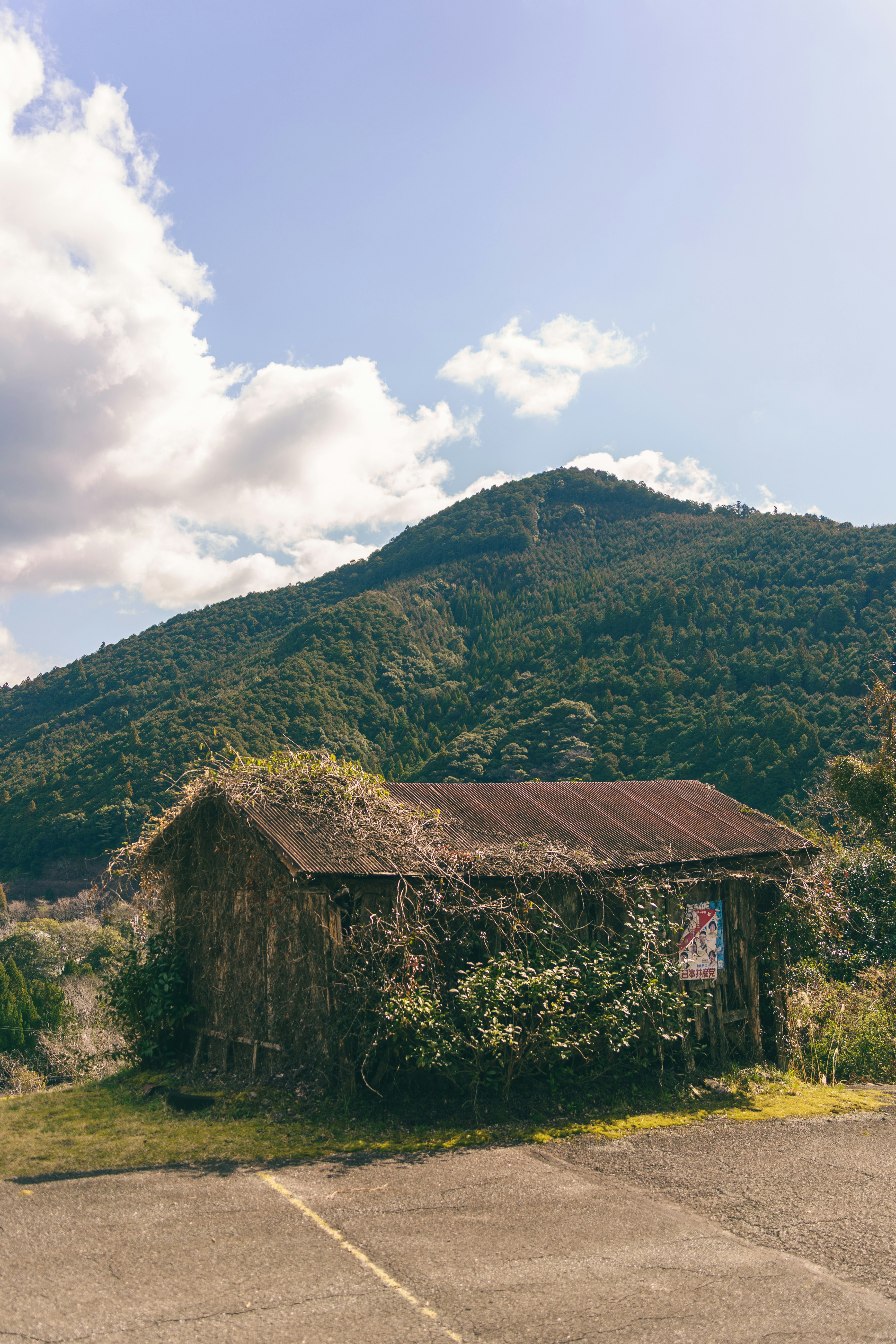 Overgrown Barn at the Foot of a Quiet Mountain