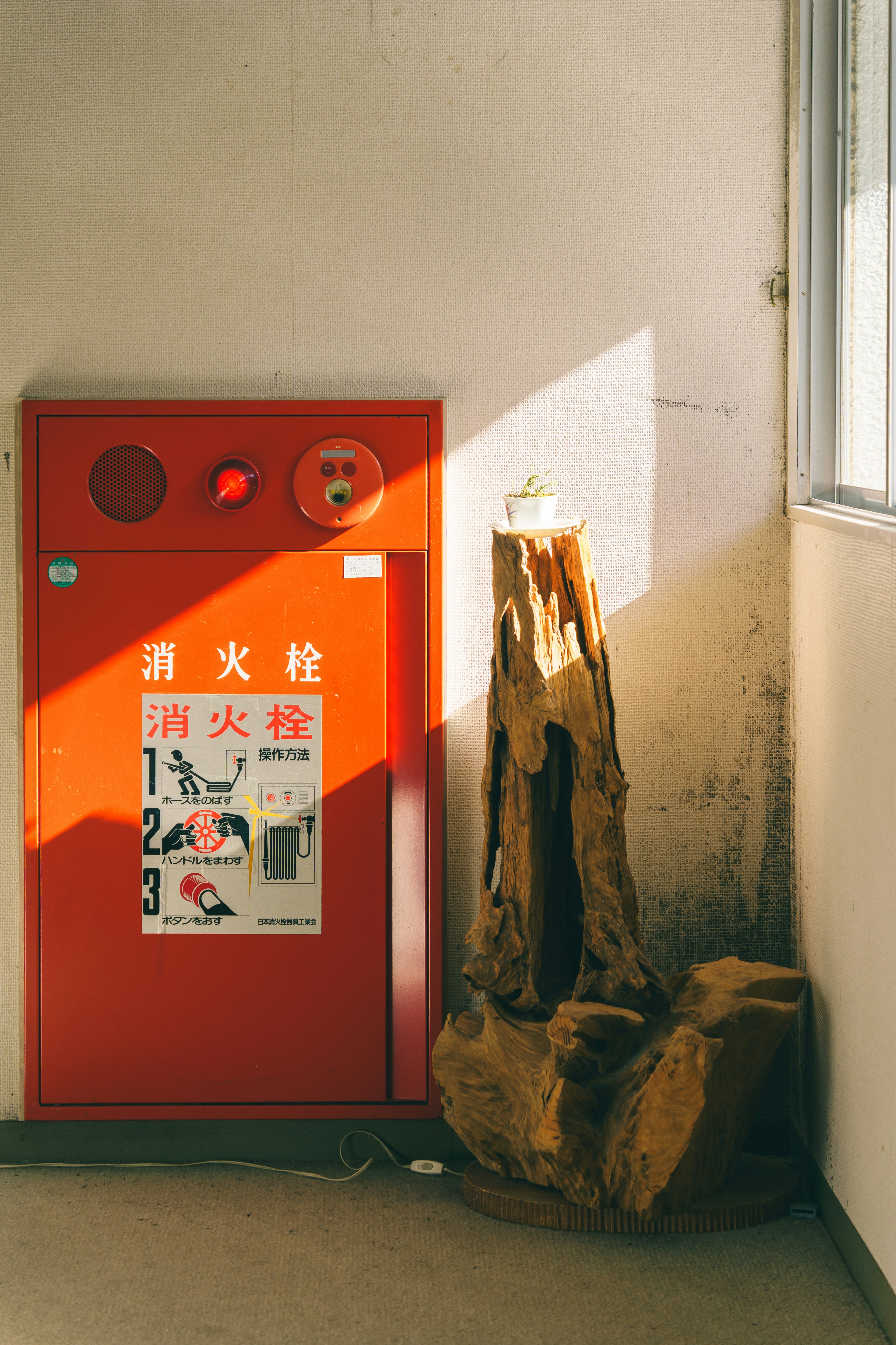 Red Fire-Exit Locker Bathed in Morning Light by a Weathered Rock Column
